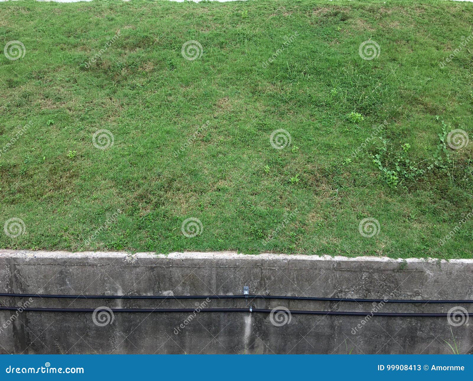 Grass edge. stock image. Image of boundary, concrete - 99908413