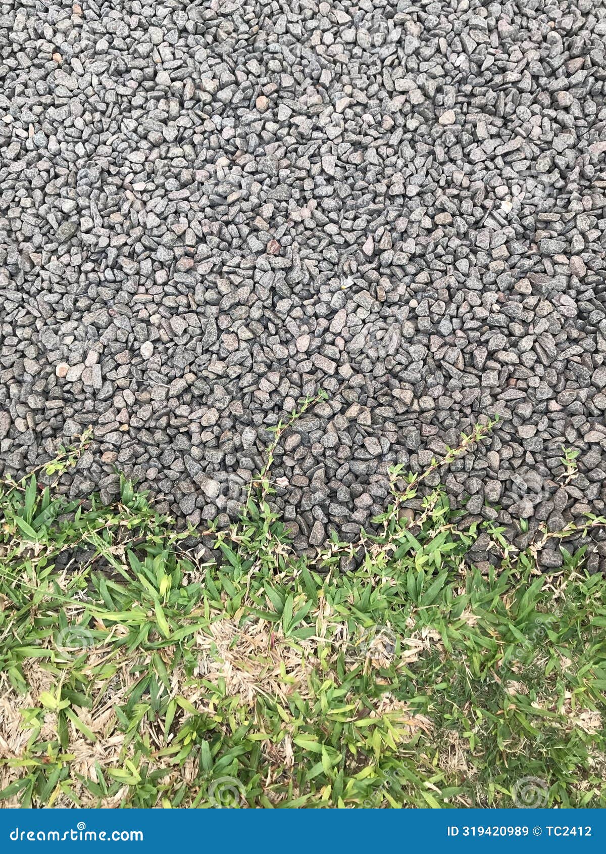 Grass Edging of Stone Path. Stock Image - Image of pattern, green ...