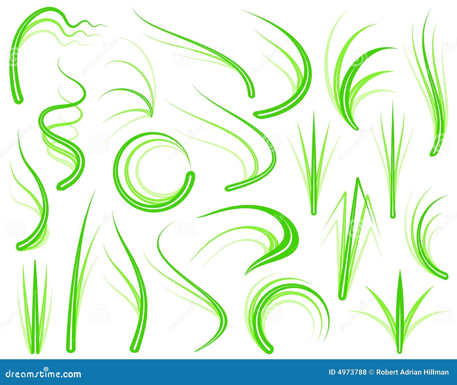 Grass elements stock vector. Illustration of grass, vegetation - 4973788