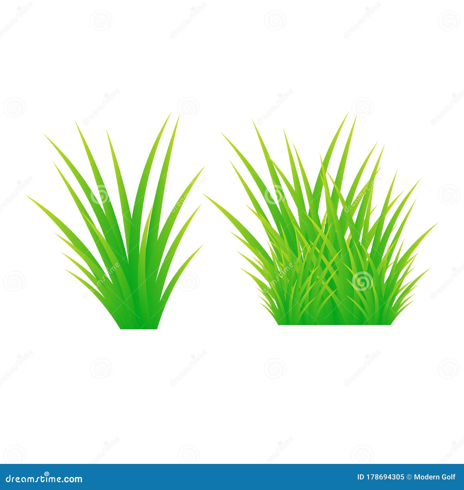 Grass Elements Isolated White Background Stock Vector - Illustration of ...