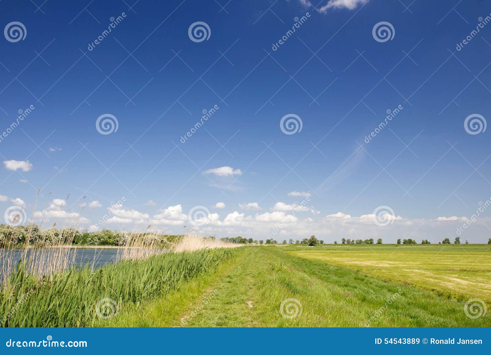 Grass embankment in Muiden stock image. Image of grass - 54543889