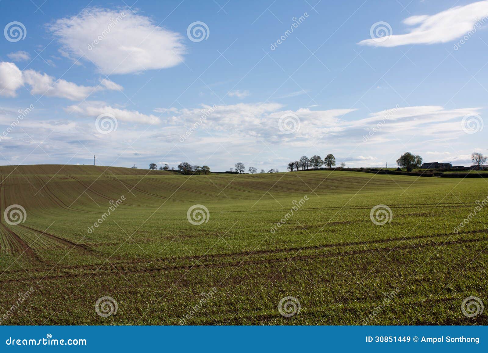 Grass farm stock image. Image of nature, mediterranean - 30851449