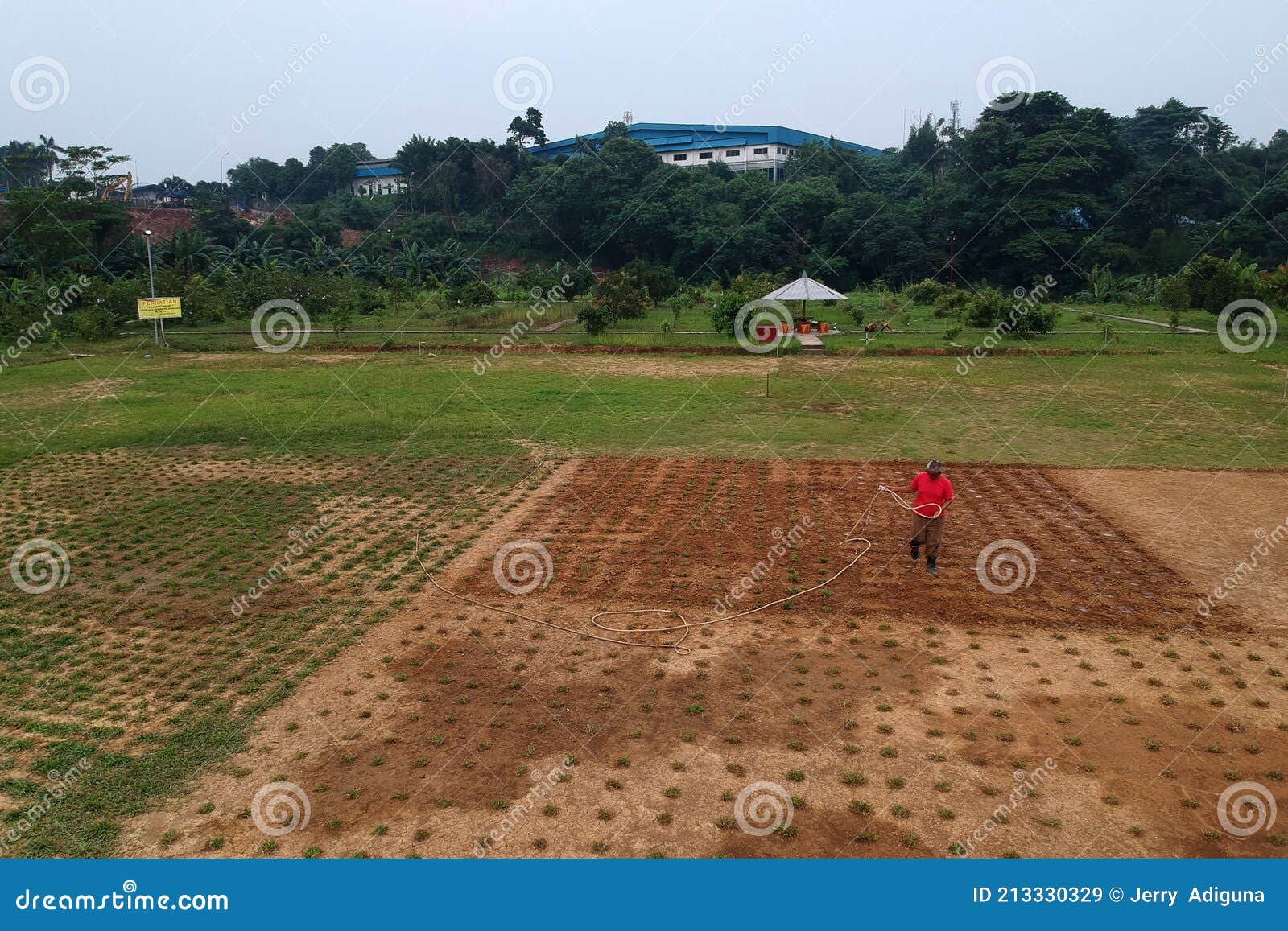 Grass farming at a field editorial stock image. Image of farm - 213330329