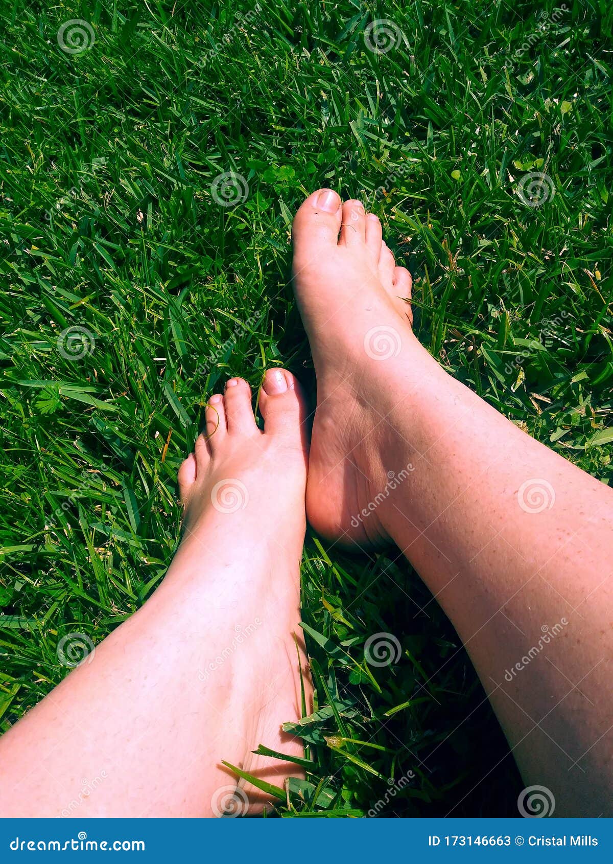 Grass&Feet stock image. Image of lovethemfeet, greatfeet - 173146663