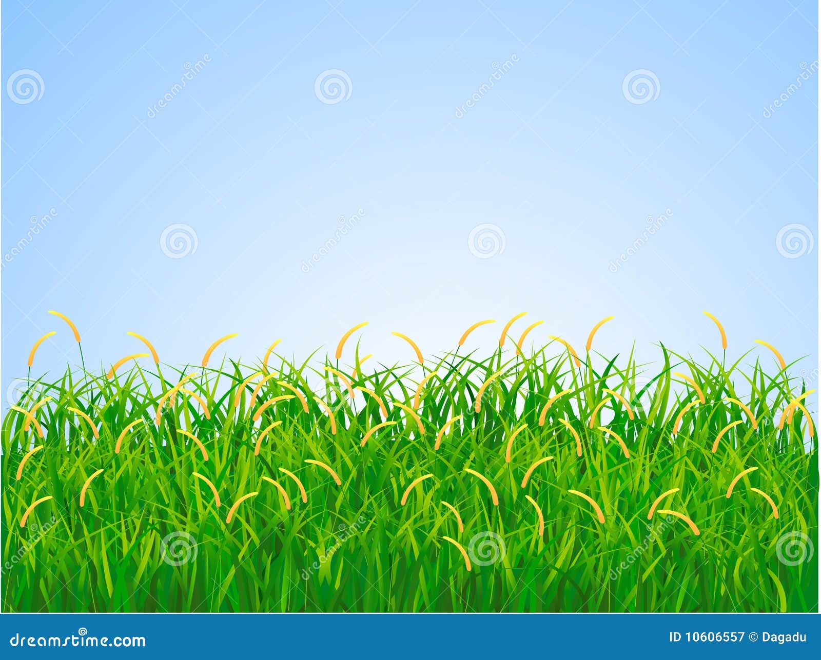 Grass field stock vector. Illustration of lawn, foliage - 10606557