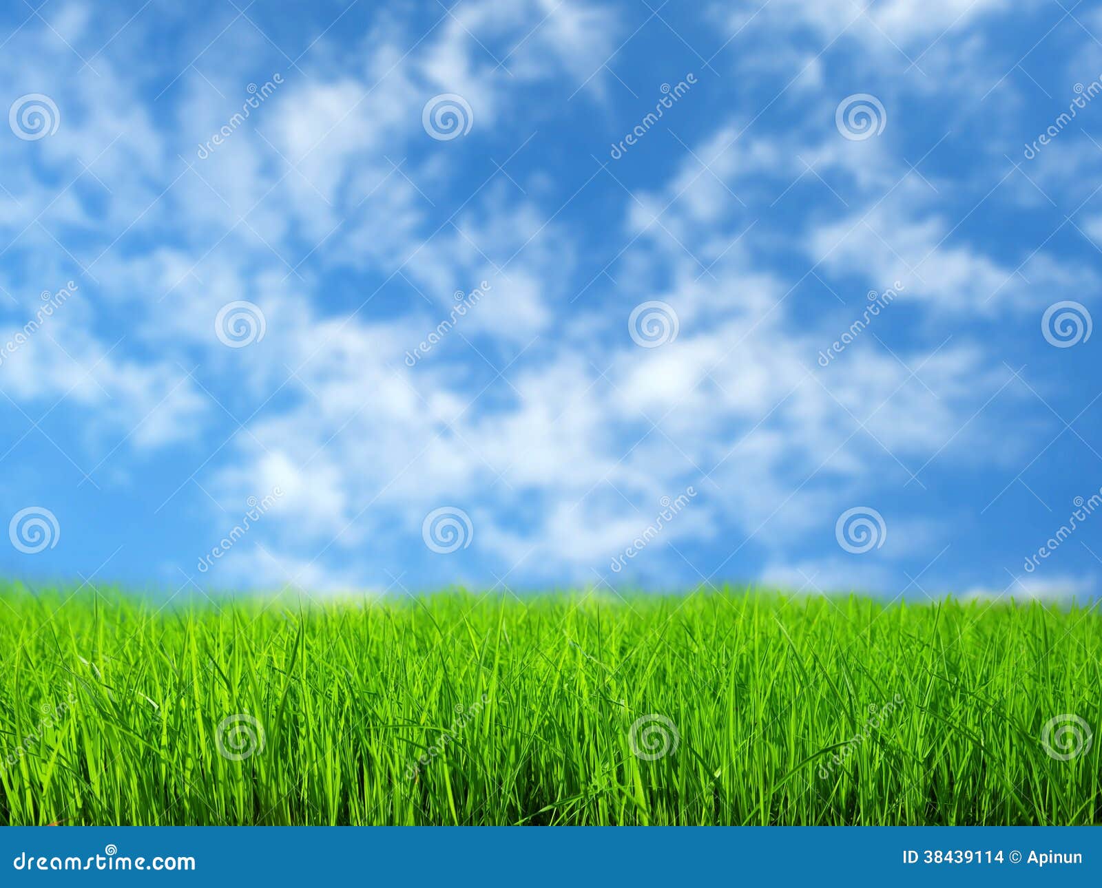Grass field stock photo. Image of idyllic, heavens, beautiful - 38439114