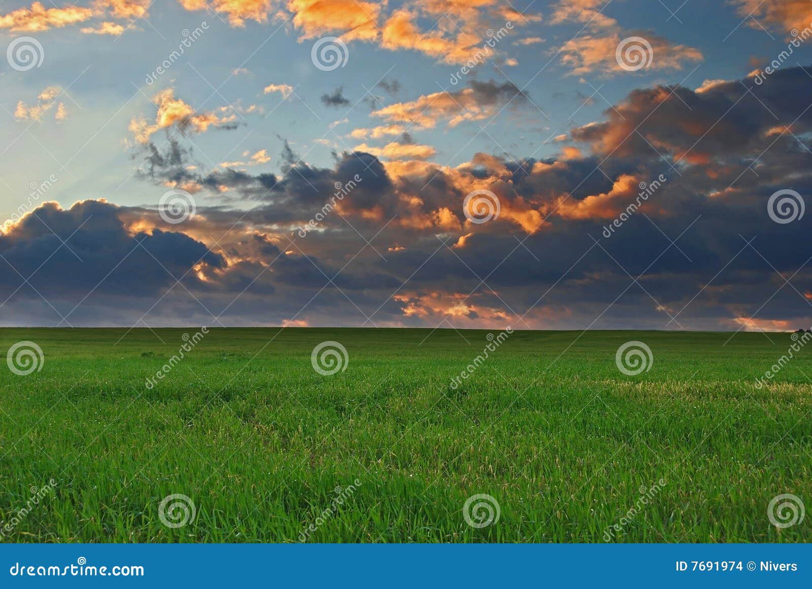 88,858 Big Grass Field Stock Photos - Free & Royalty-Free Stock Photos ...