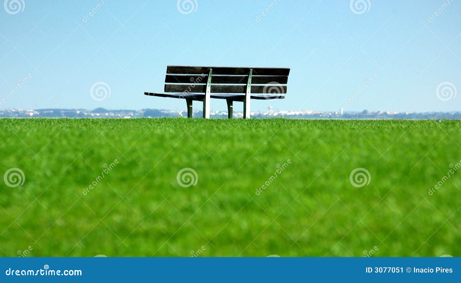 Grass field with bank stock image. Image of plant, nature - 3077051