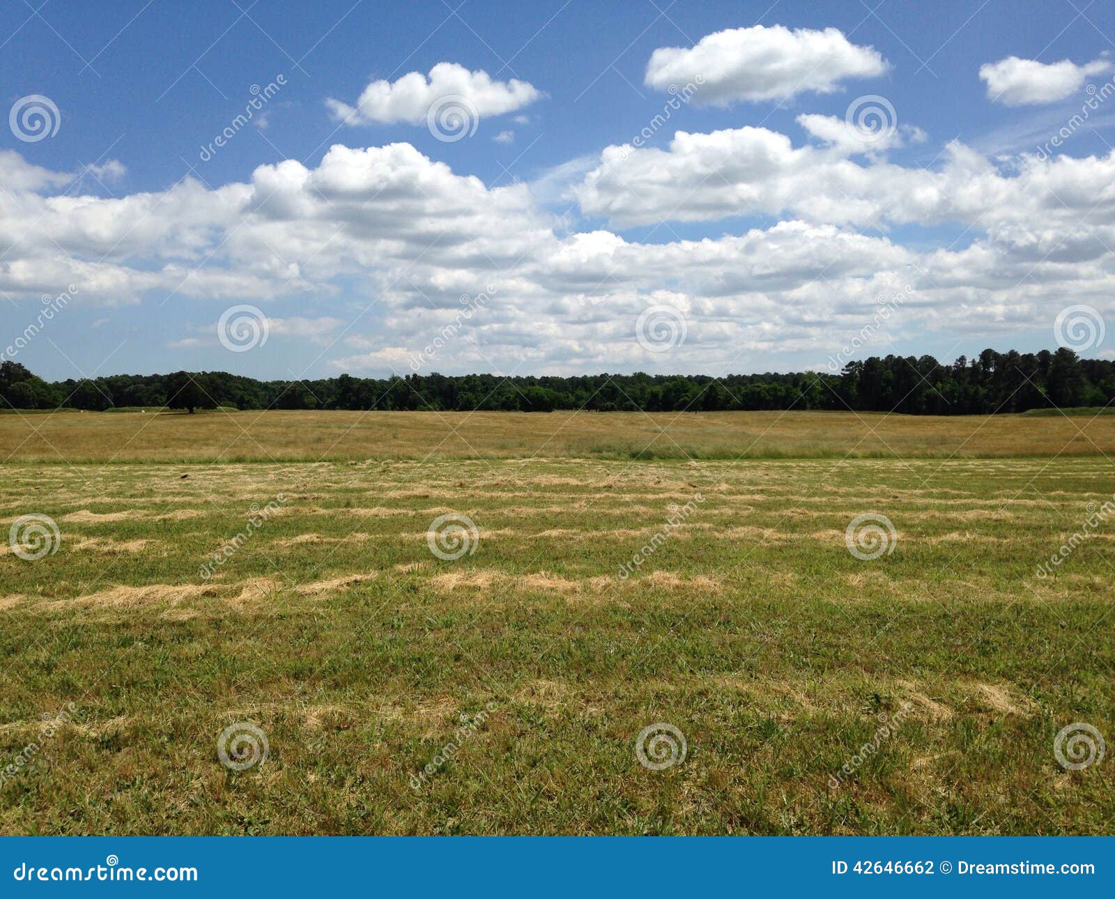 Grass field stock photo. Image of grass, sunny, battlefield - 42646662