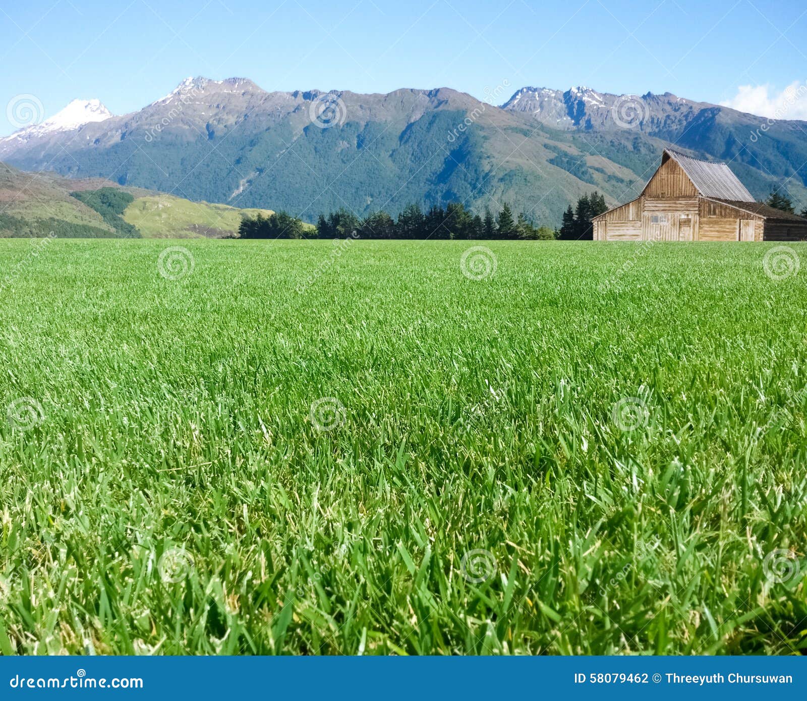 Grass Field in Beautiful View Background Design Stock Photo - Image of ...