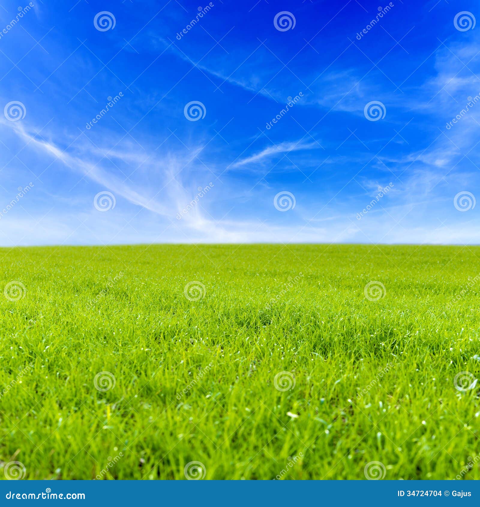 Grass field and blue sky stock photo. Image of background - 34724704