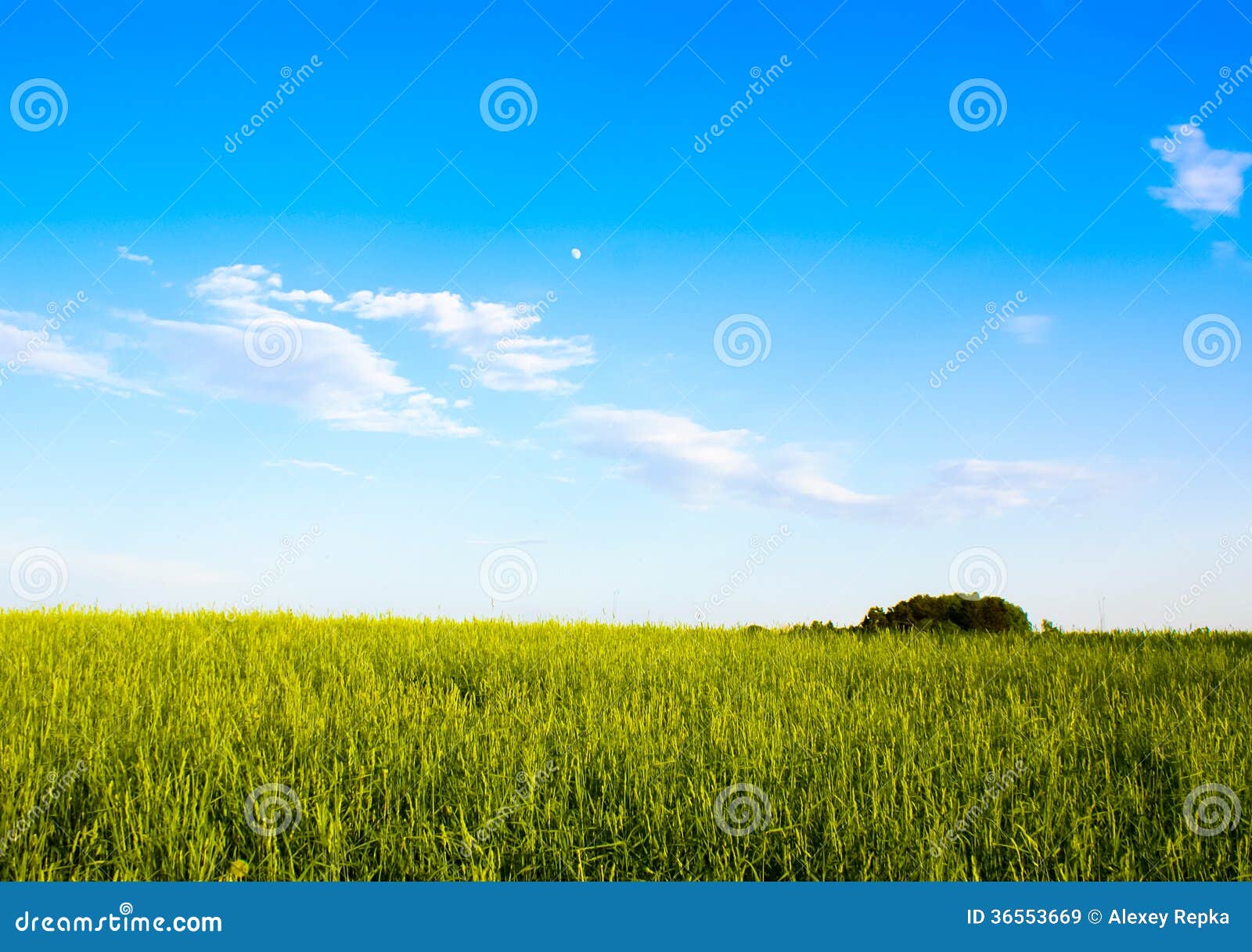 Grass Field and Dramatic Sky at Sunset Stock Image - Image of farm ...