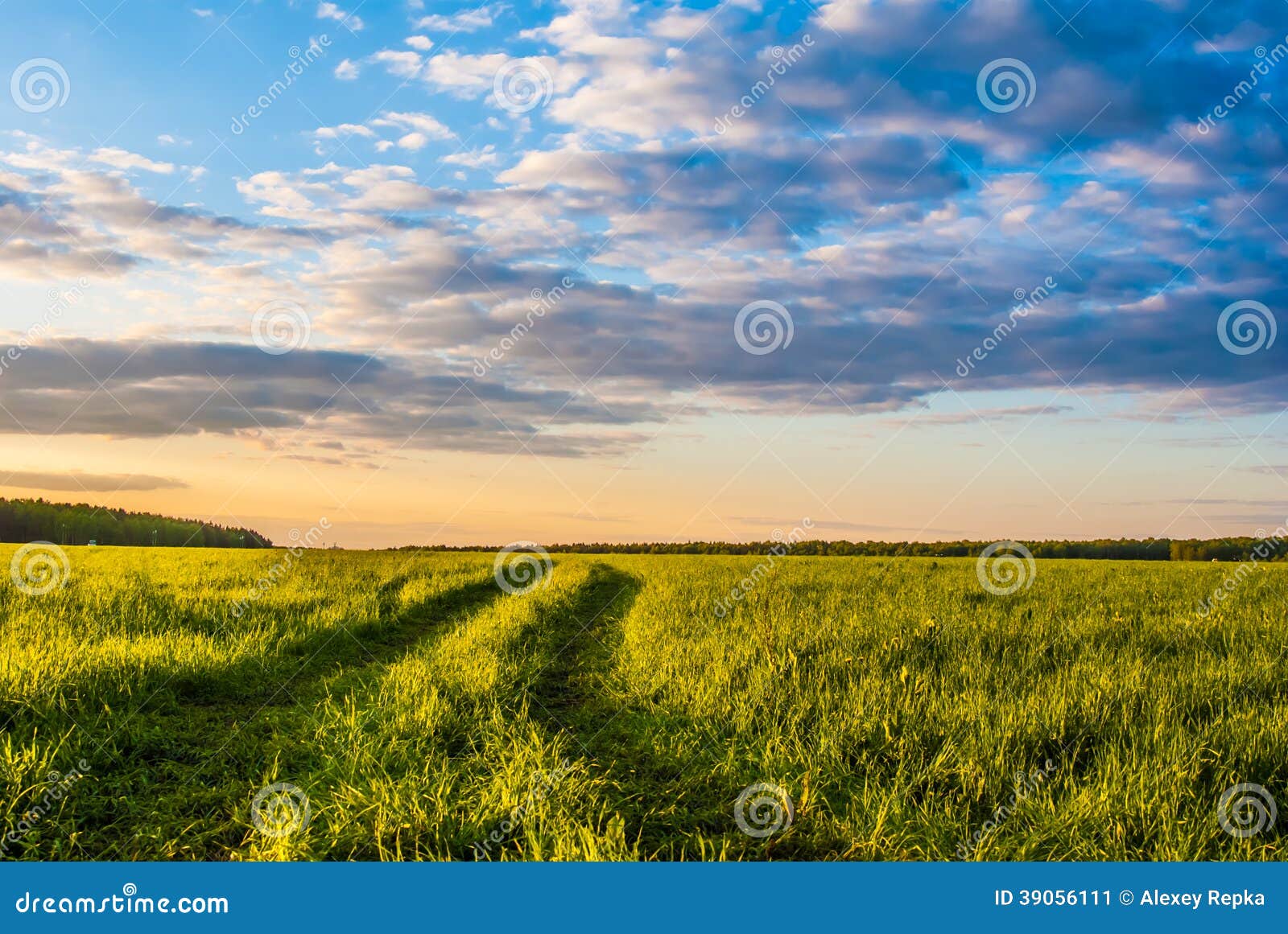 Grass Field and Dramatic Sky at Sunset Stock Image - Image of natural ...
