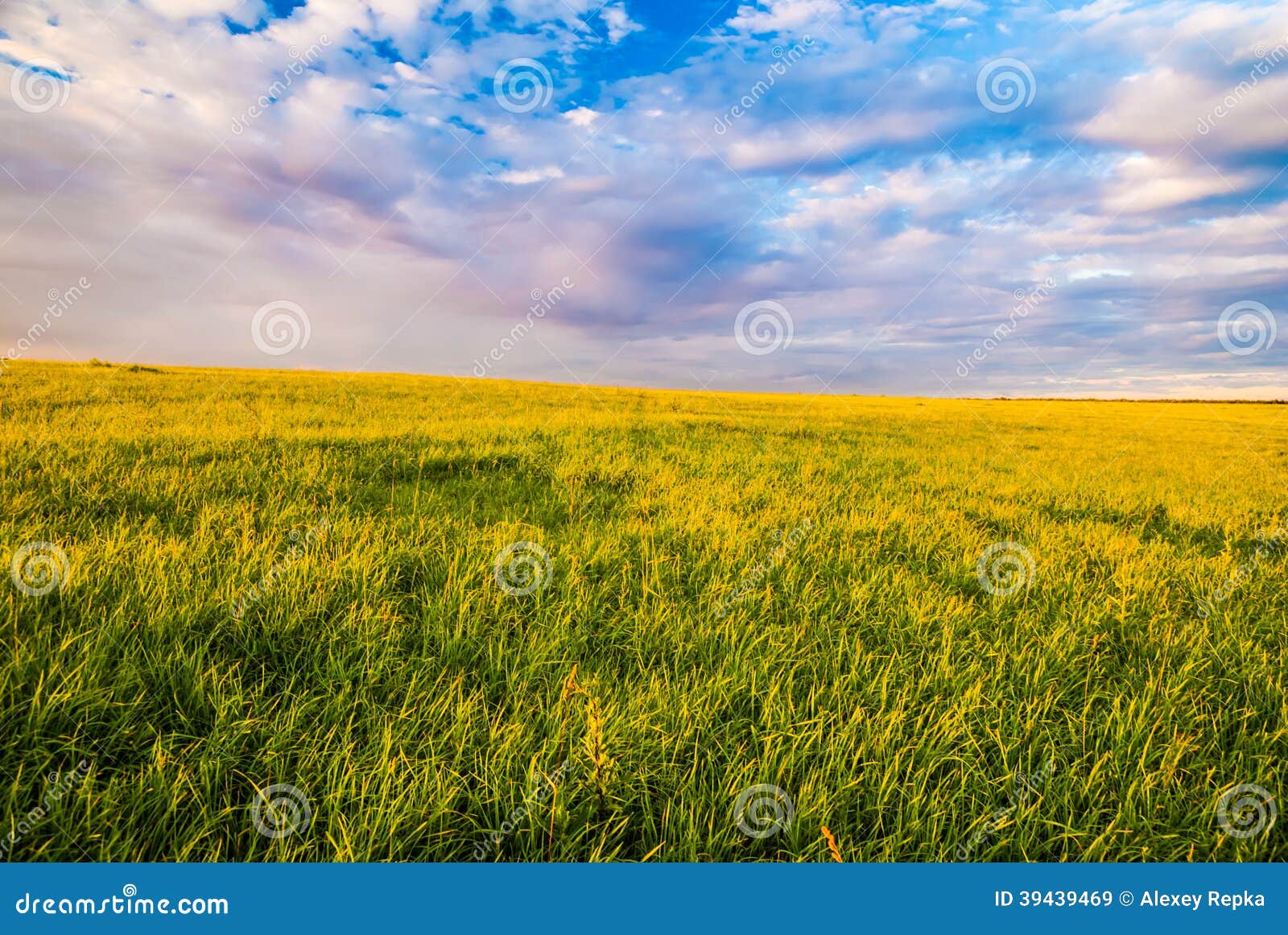 Grass Field and Dramatic Sky at Sunset Stock Image - Image of color ...
