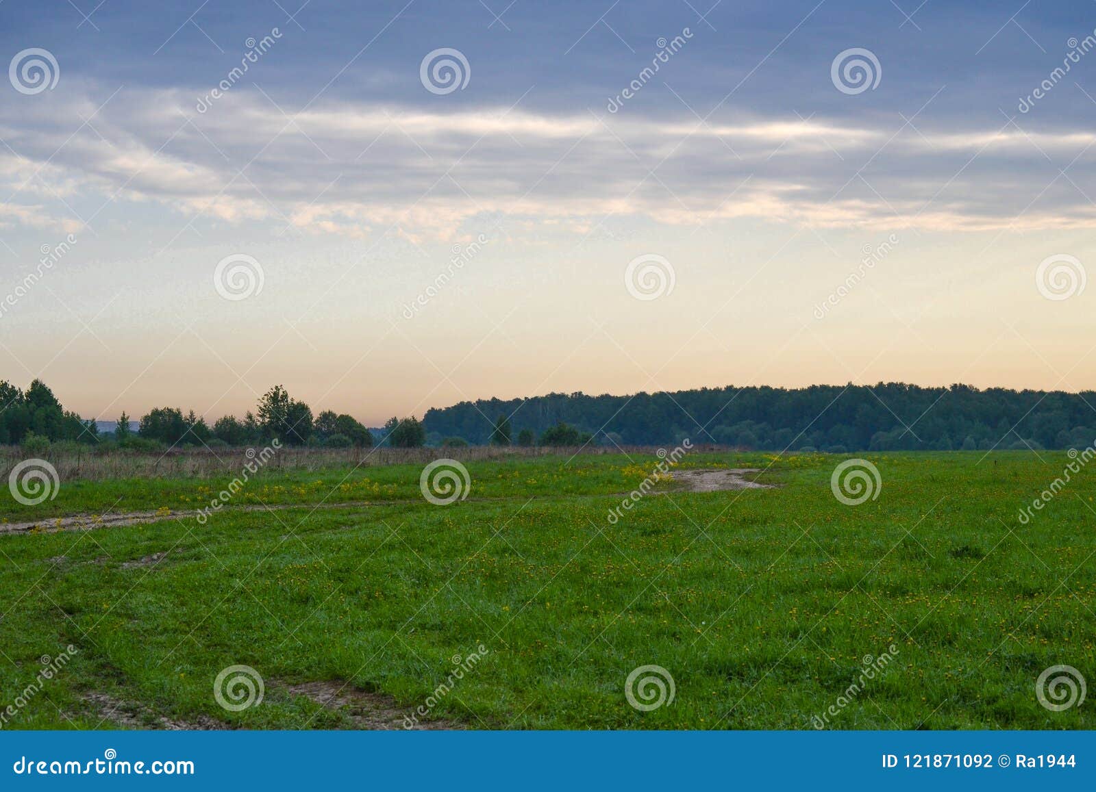 Grass Field in the Early Morning. the Sky with the Morning Glow Stock ...
