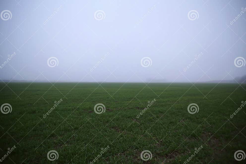 Grass Field stock image. Image of outdoors, nature, autumn - 48291325