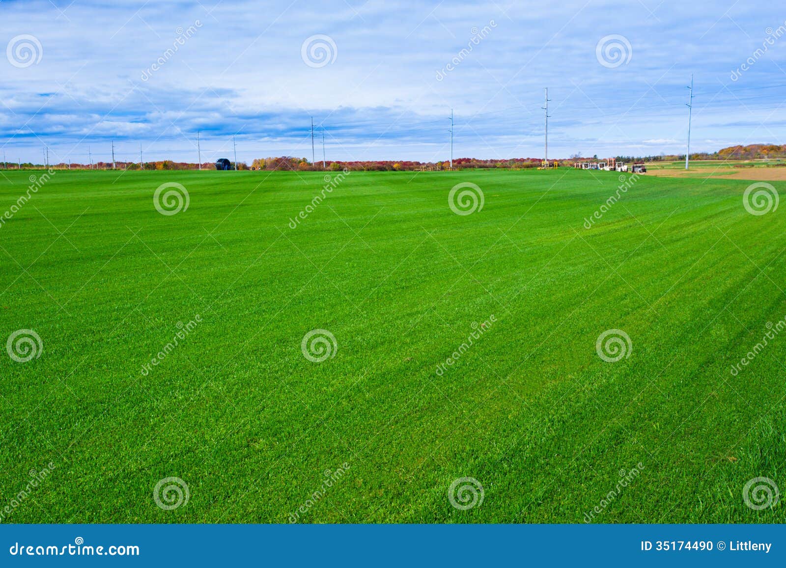 Grass stock photo. Image of field, horizon, outdoors - 35174490