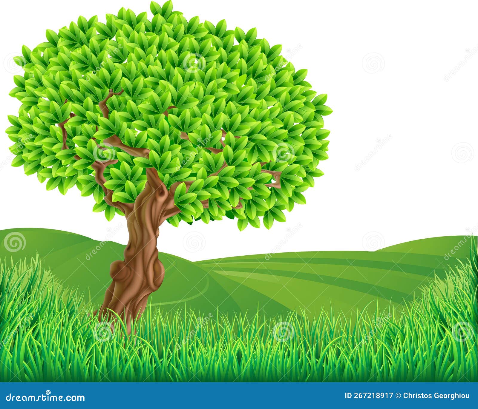 Grasslands Landscape Windswept Grass House On A Hill Lookout ...