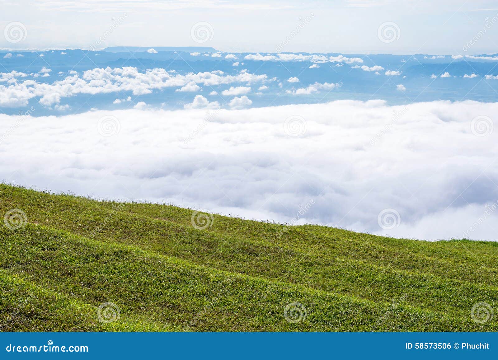 Grass field with the mist stock photo. Image of mist - 58573506