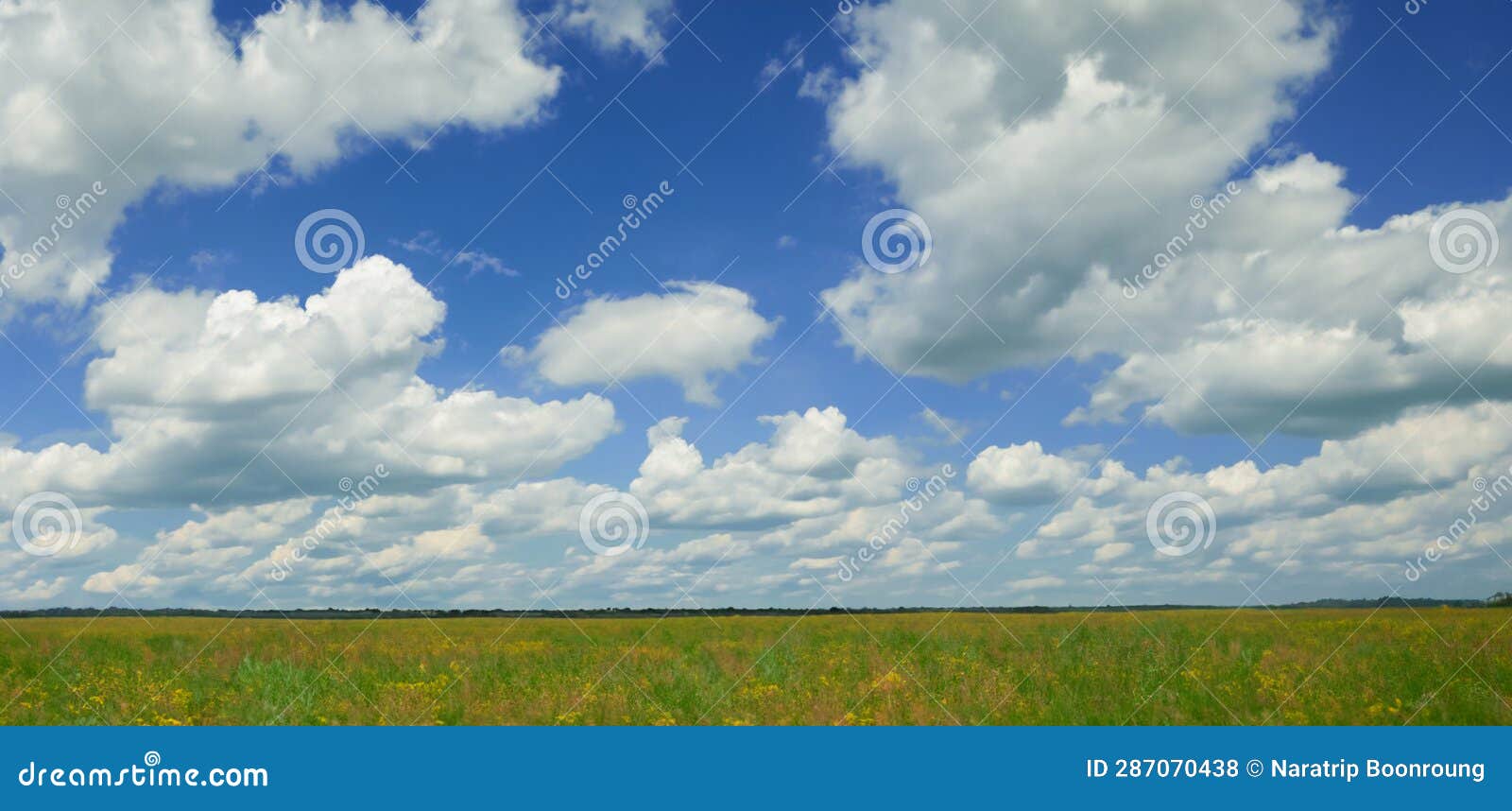 Grass Field Grass and Sky Background Skyline Panorama 3D Illustration ...