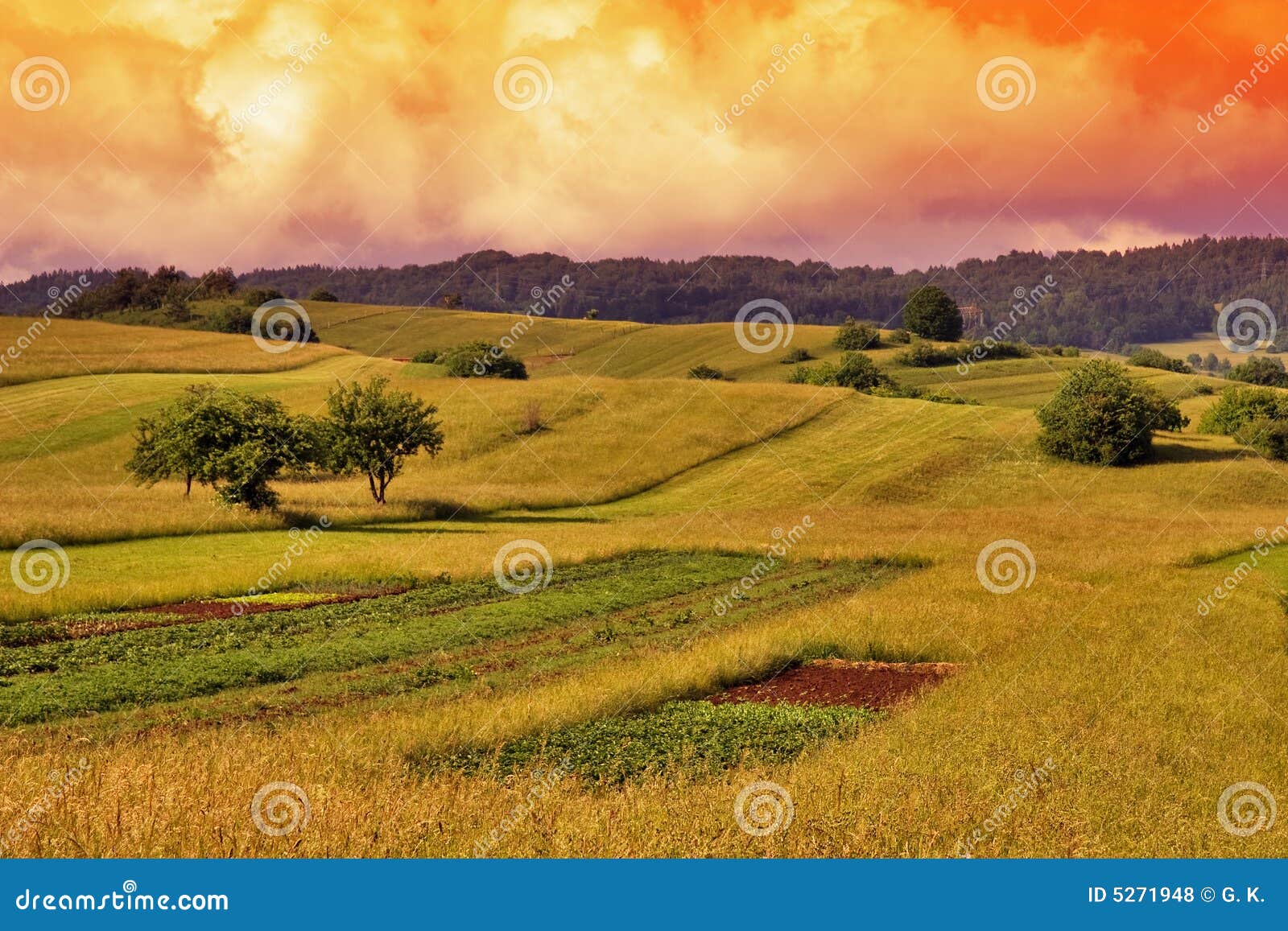 Grass Field Sunset Landscape Stock Photo - Image of leisure, calm: 5271948