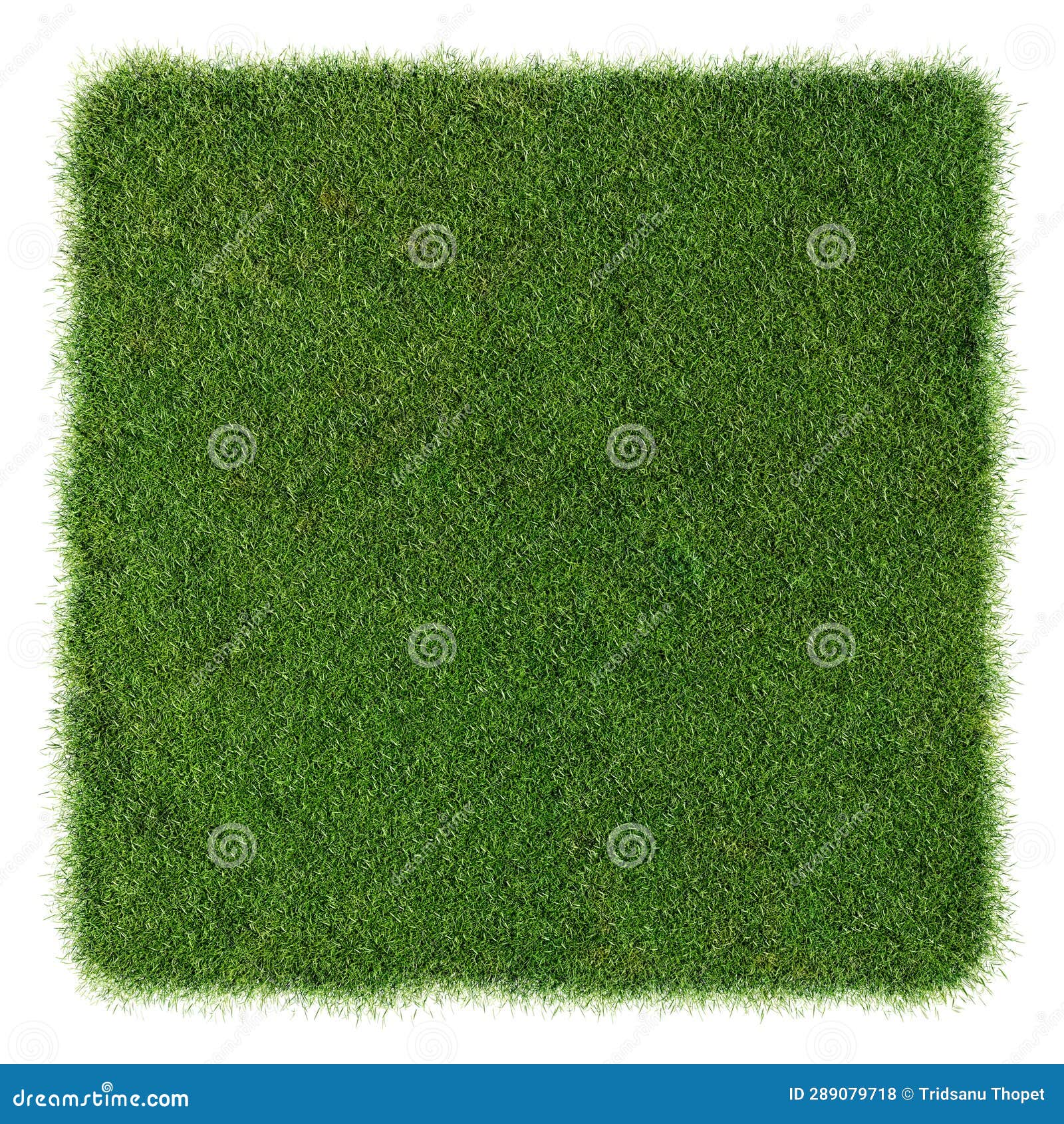 Grass Field Top View On White Background With Clipping Path Stock Illustration Illustration Of
