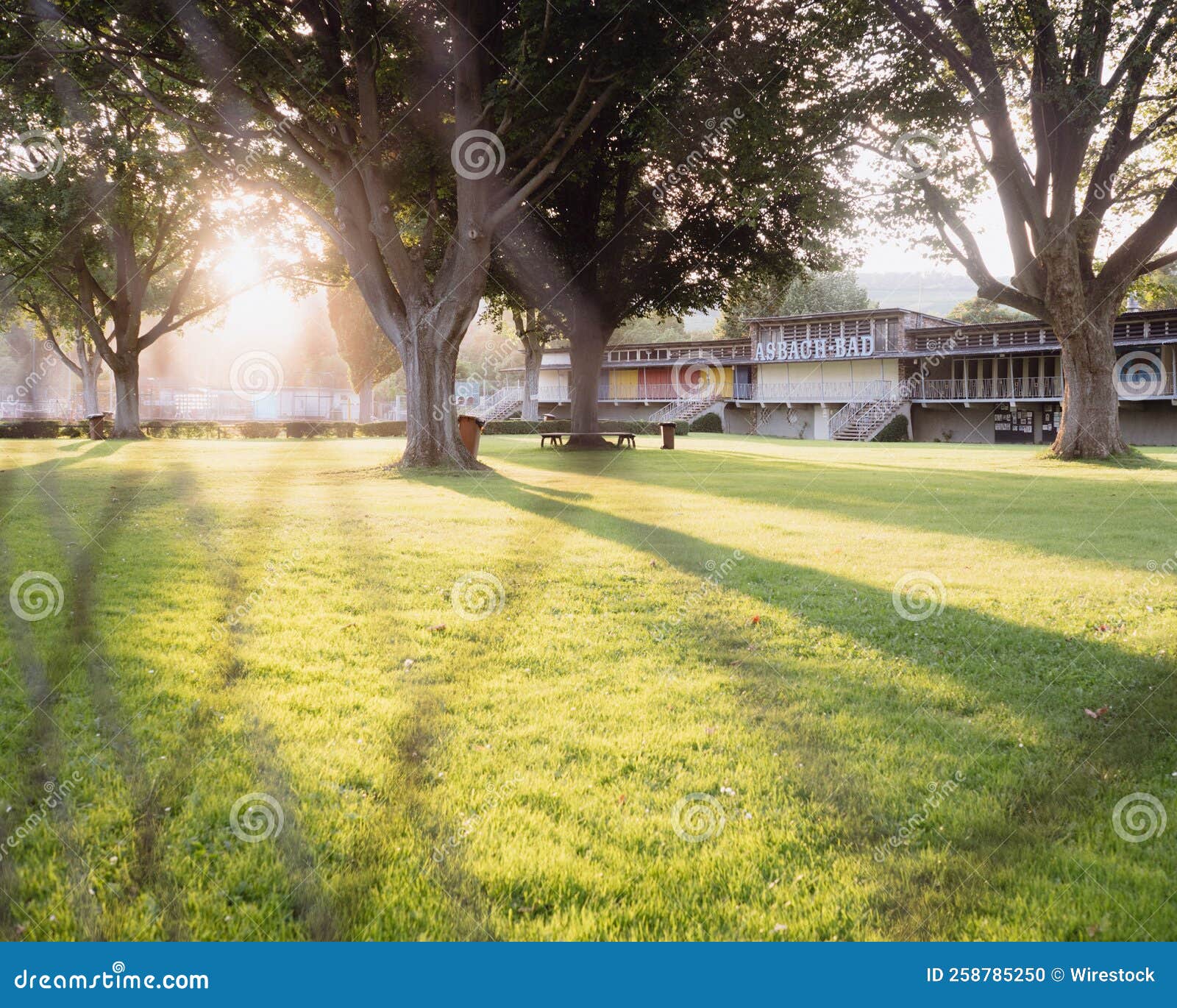 Grass Field with Tree Shadows on the Ground and Buildings in the ...