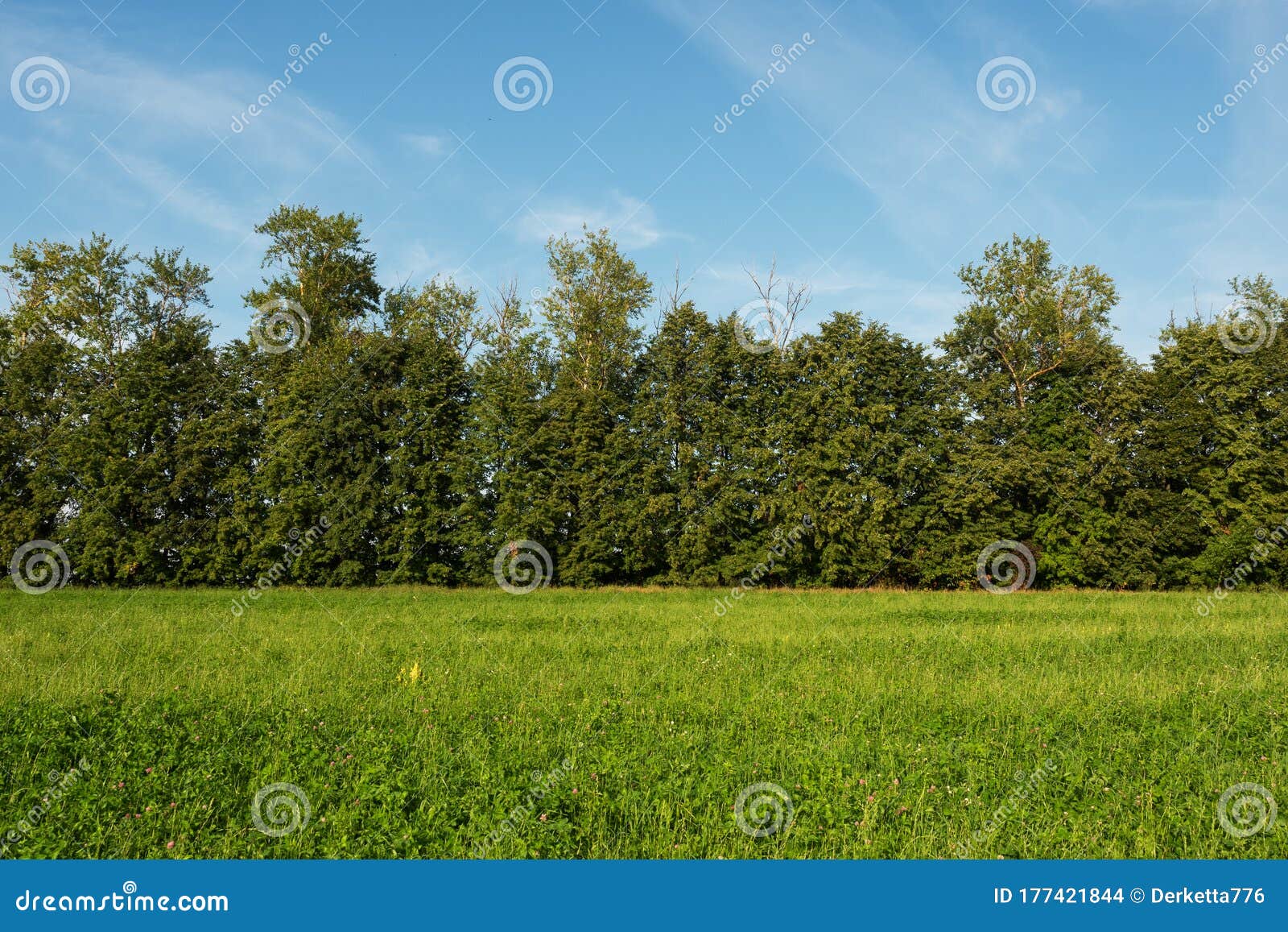 462,236 Field Trees Landscape Stock Photos - Free & Royalty-Free Stock ...