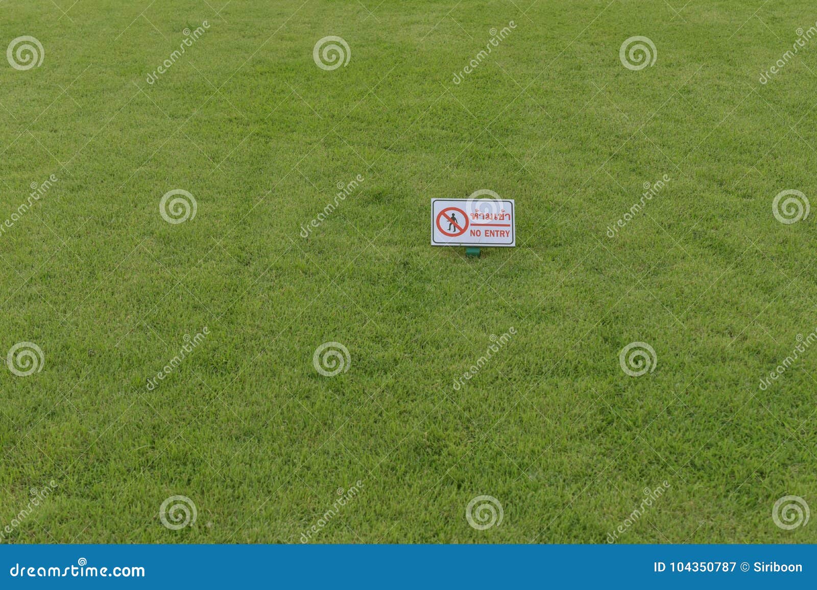 The Grass on the Field and Warning Signs Prohibiting Walking Int Stock ...