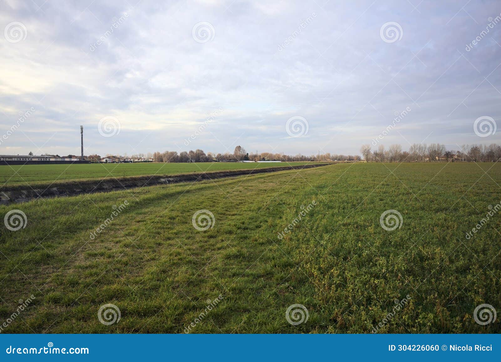 Grass fields stock photo. Image of green, cloud, agricultural - 304226060