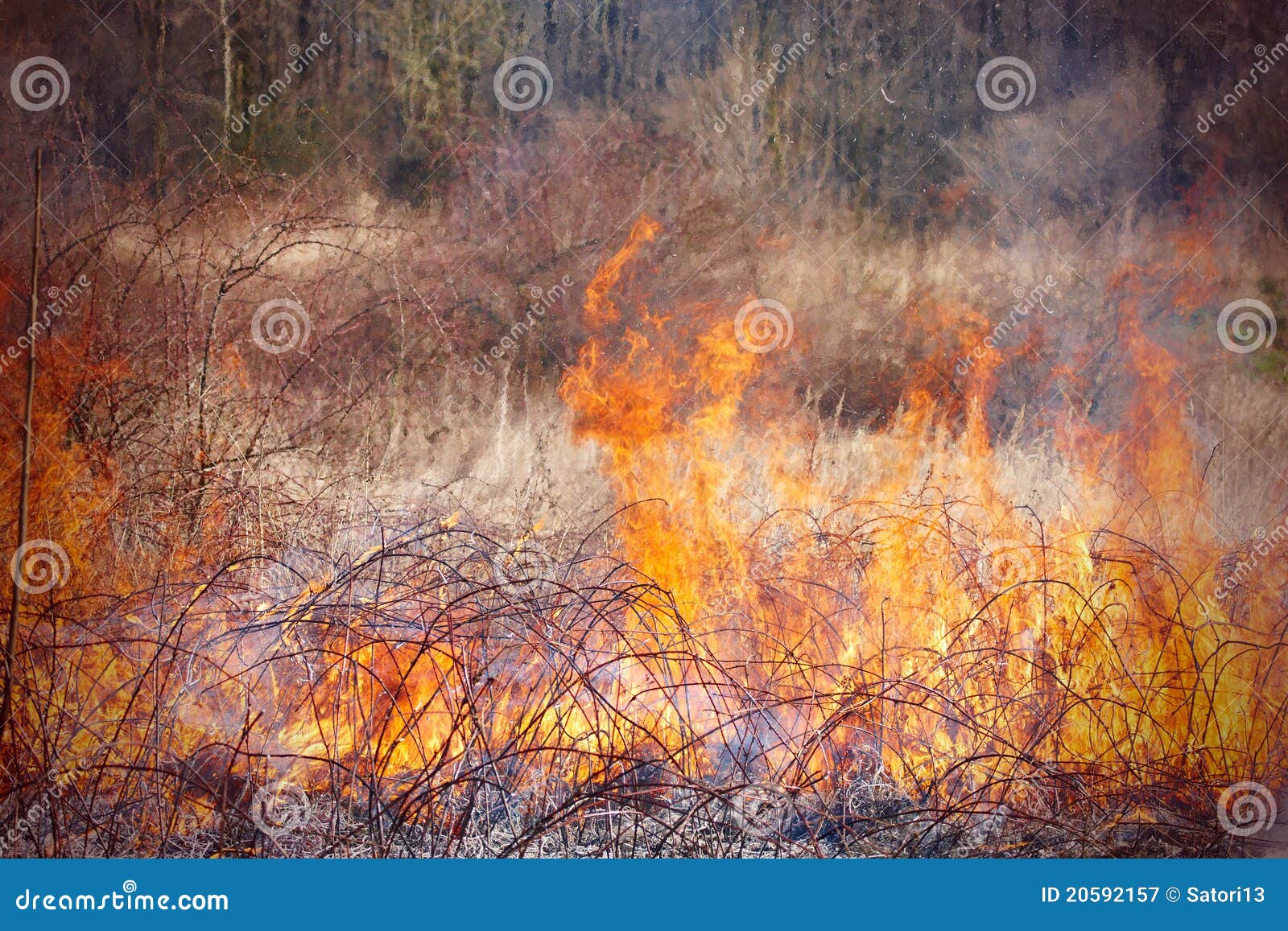 Grass fire stock image. Image of burning, blaze, light - 20592157