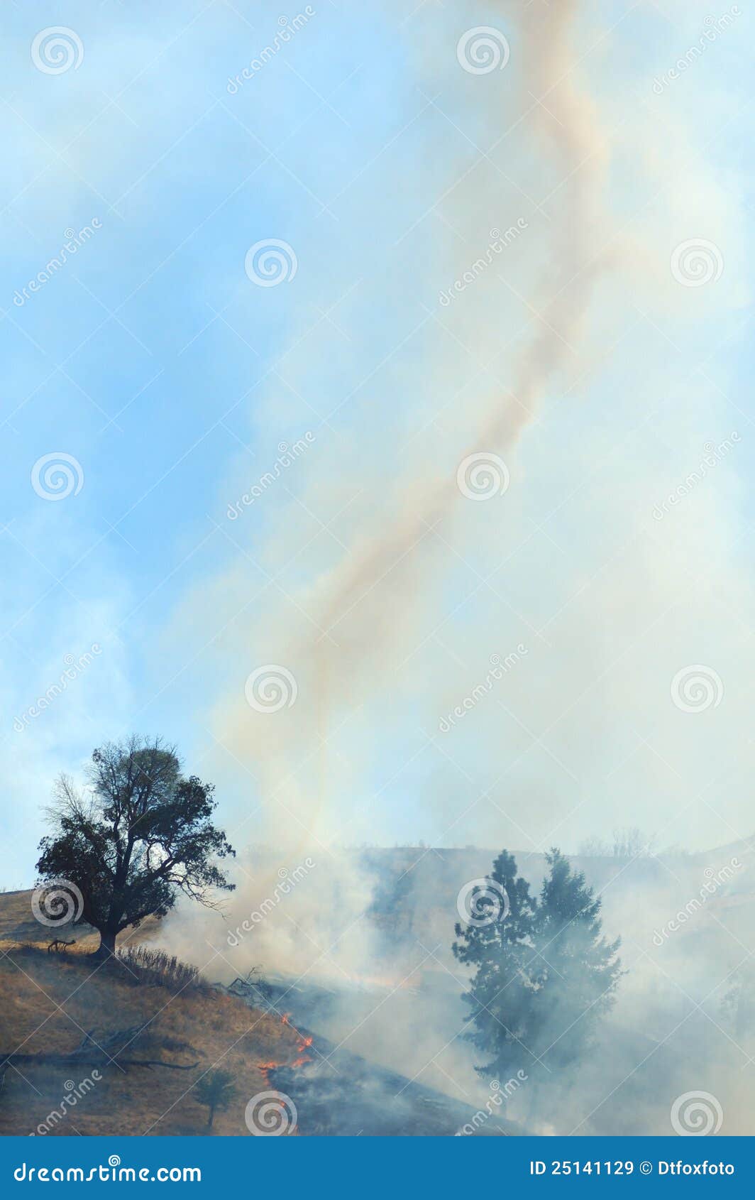 Grass Fire stock image. Image of grass, pasture, flame - 25141129