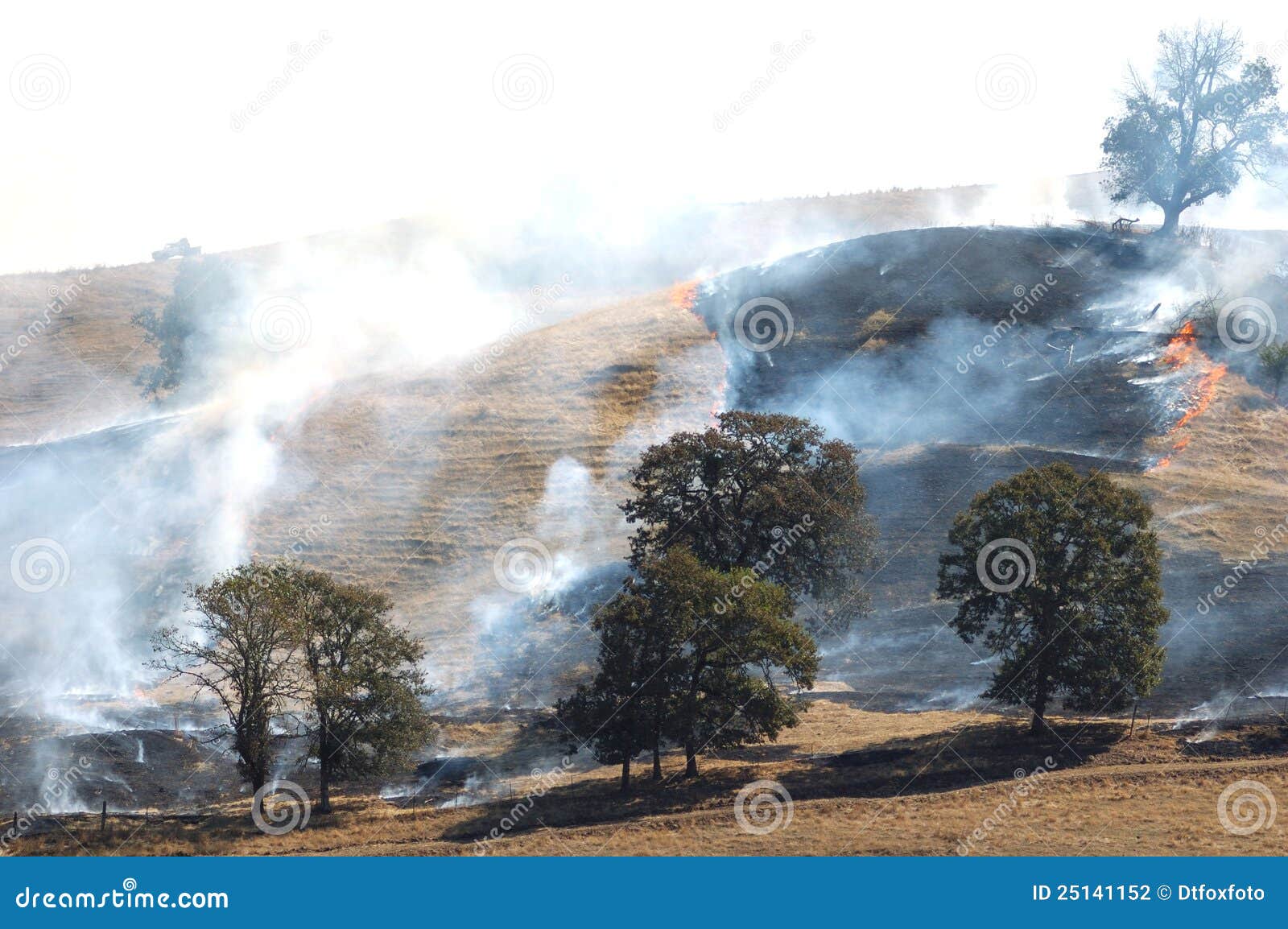 Grass Fire stock photo. Image of smoke, brush, forest - 25141152