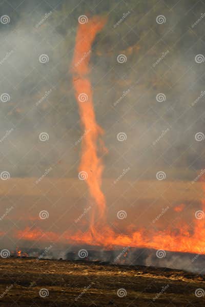Grass Fire stock image. Image of stubble, cover, wildfire - 25246963