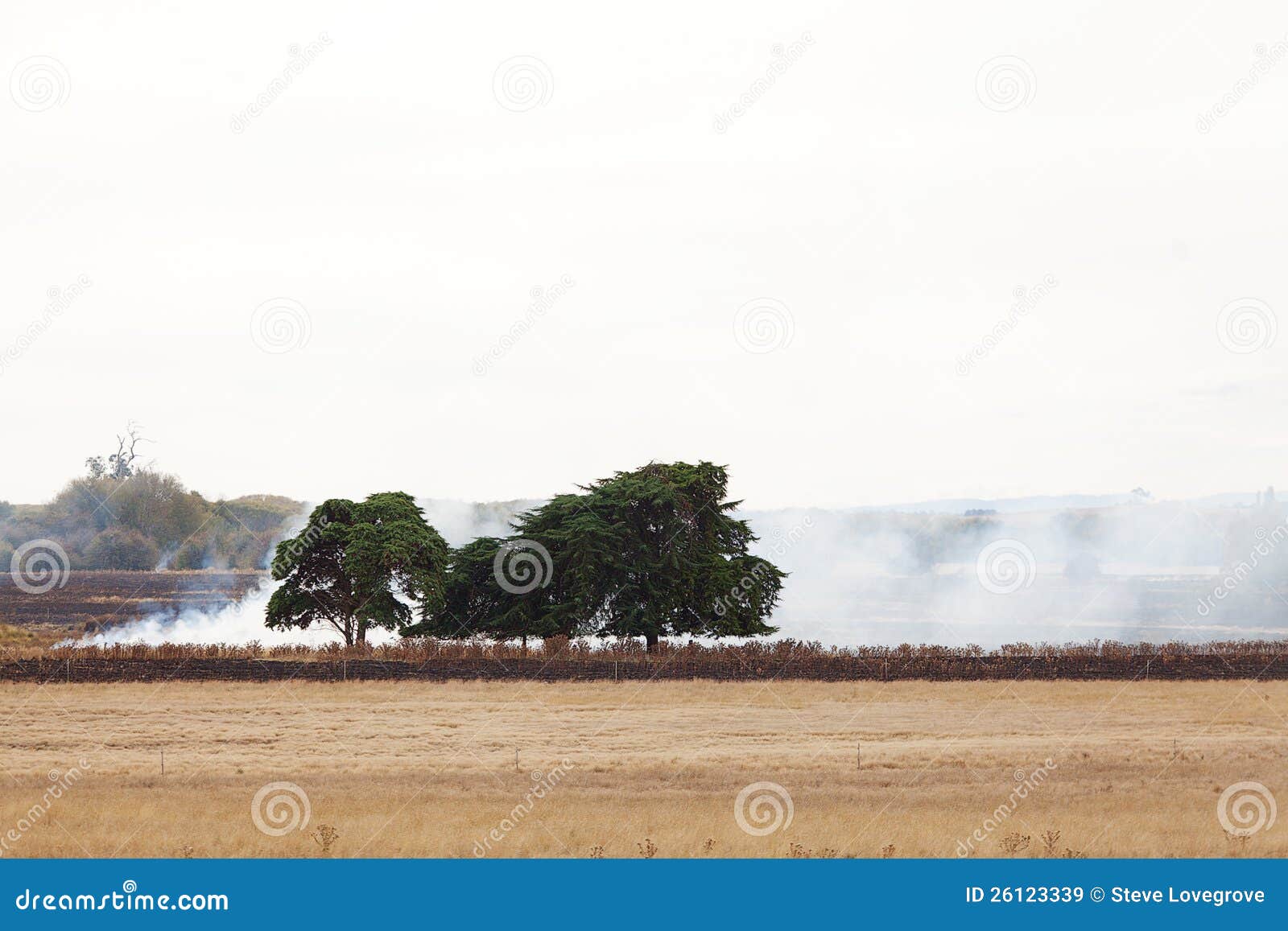 Grass Fire stock image. Image of burningoff, smoke, grassfire - 26123339
