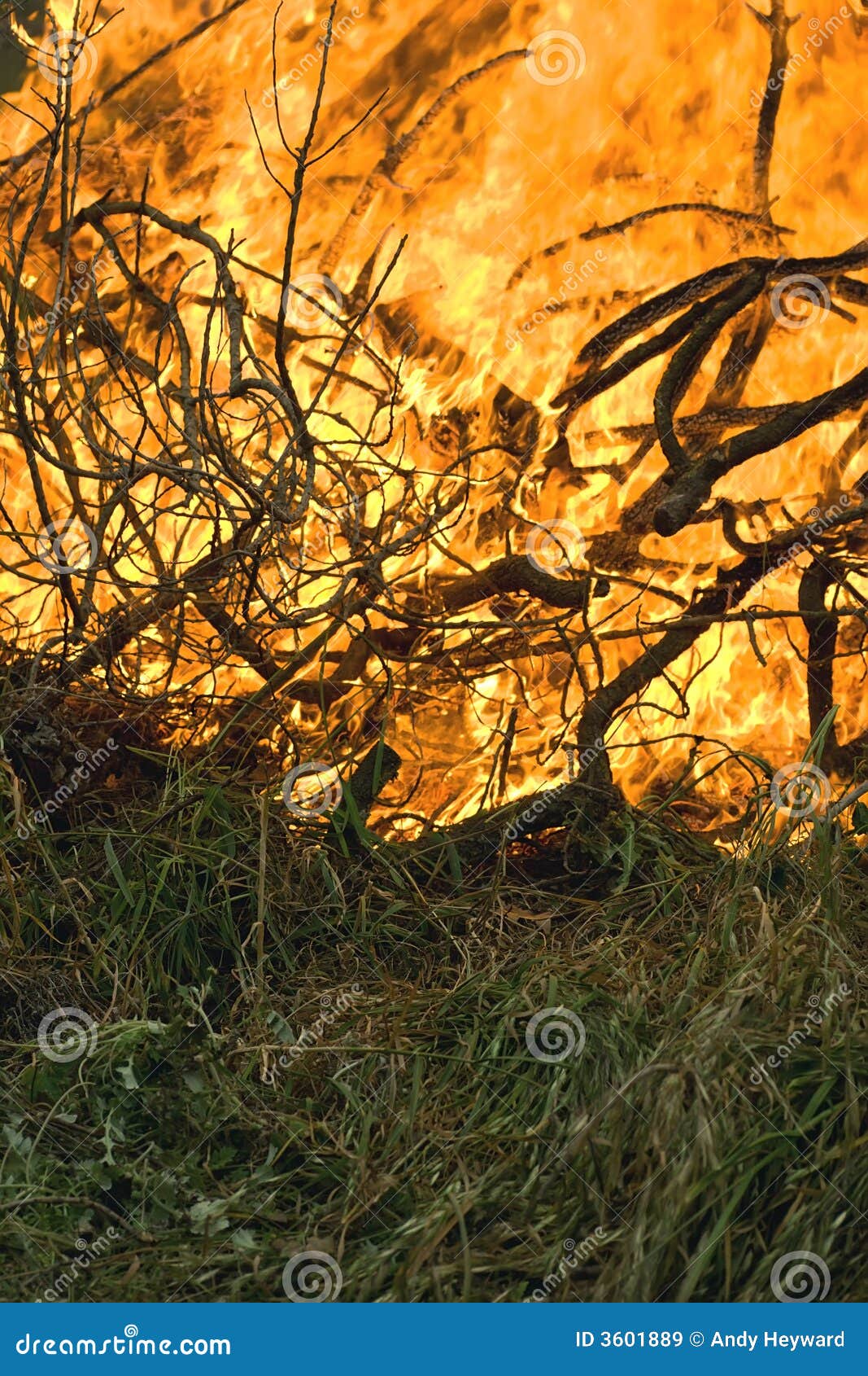 Grass fire stock image. Image of fire, heat, burn, branches - 3601889