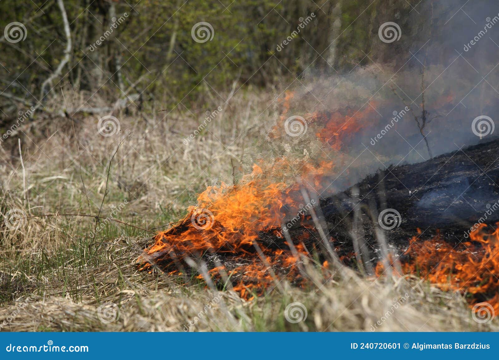 A Grass Fire or Bush Fire in the Wild Stock Image - Image of emergency ...