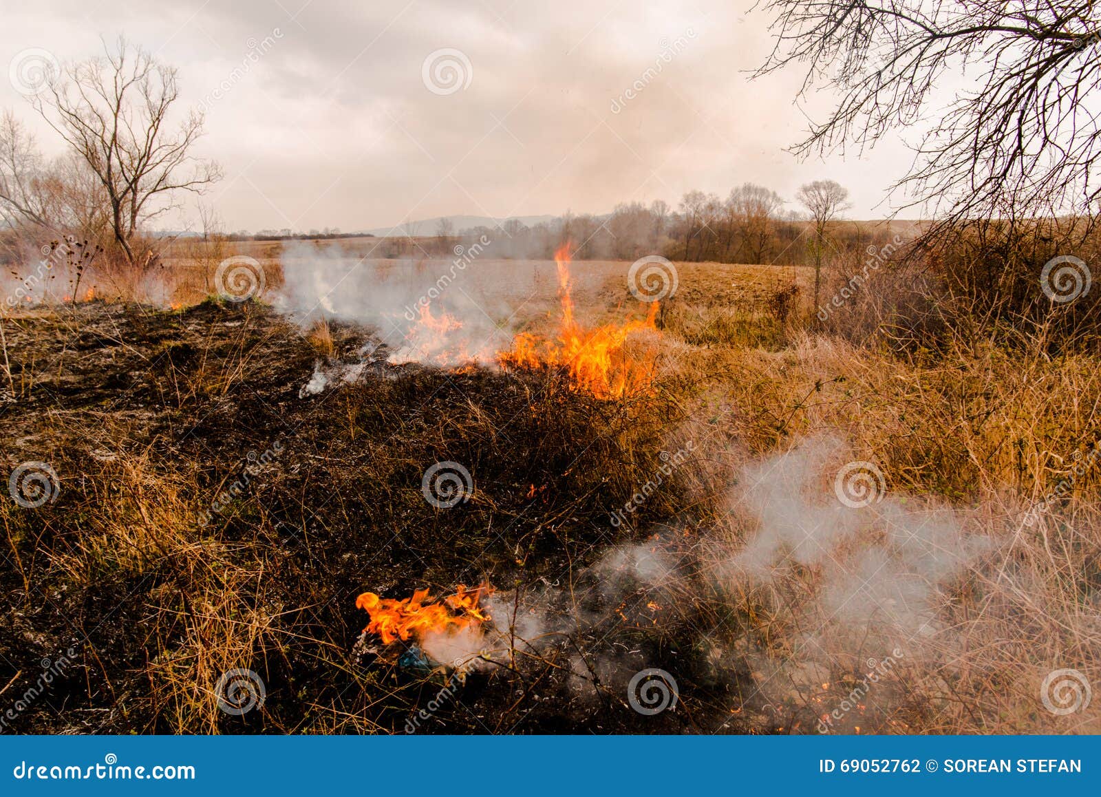 Grass on fire stock photo. Image of blue, construction - 69052762