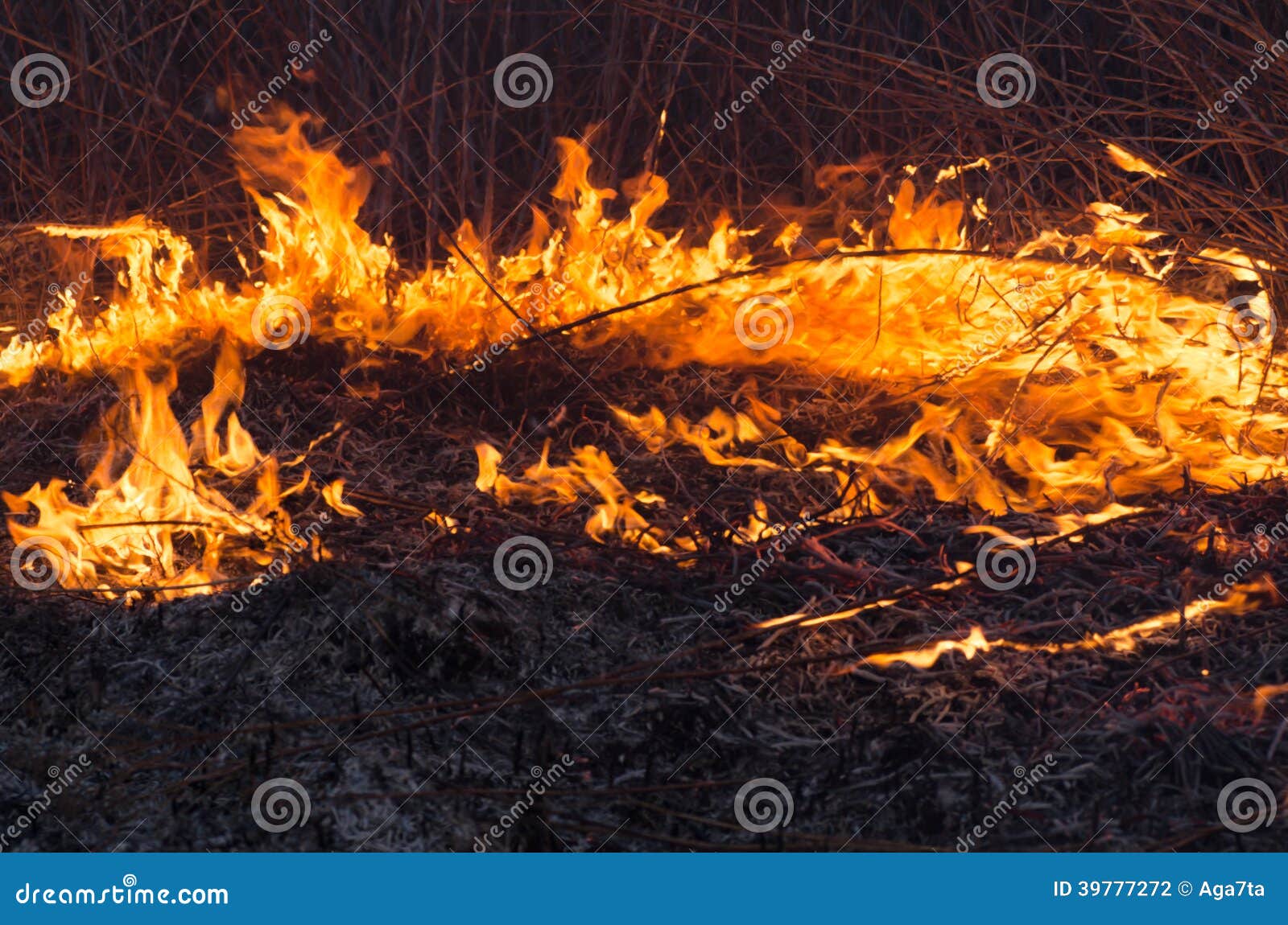 Grass fire stock photo. Image of environment, fire, smoke - 39777272
