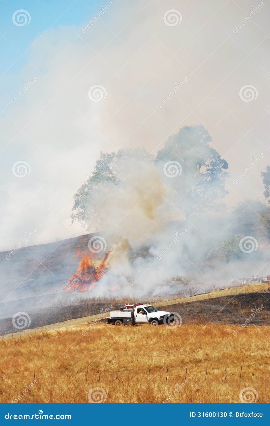 Grass Fire stock photo. Image of engine, fire, flammable - 31600130