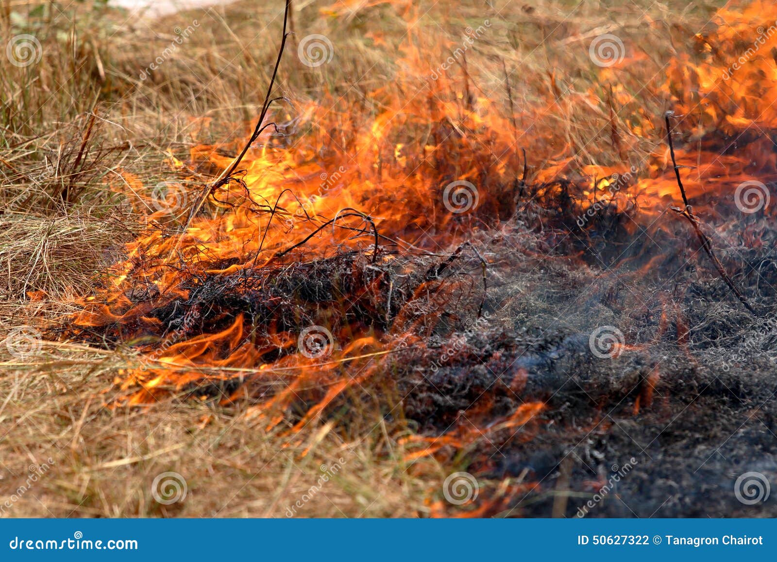 Grass fires stock photo. Image of motion, heat, flame - 50627322