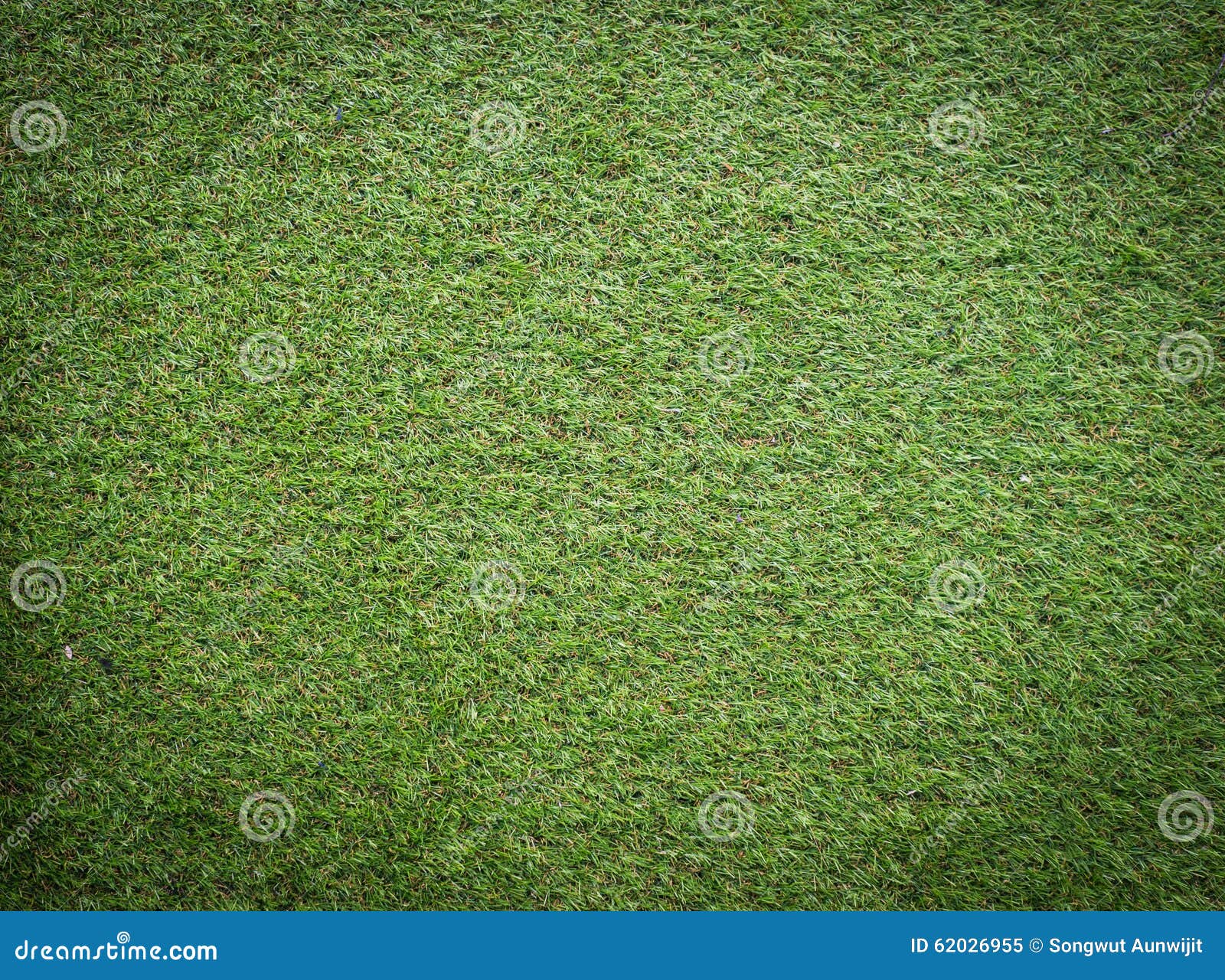Grass Floor Background Royalty-Free Stock Photography | CartoonDealer ...