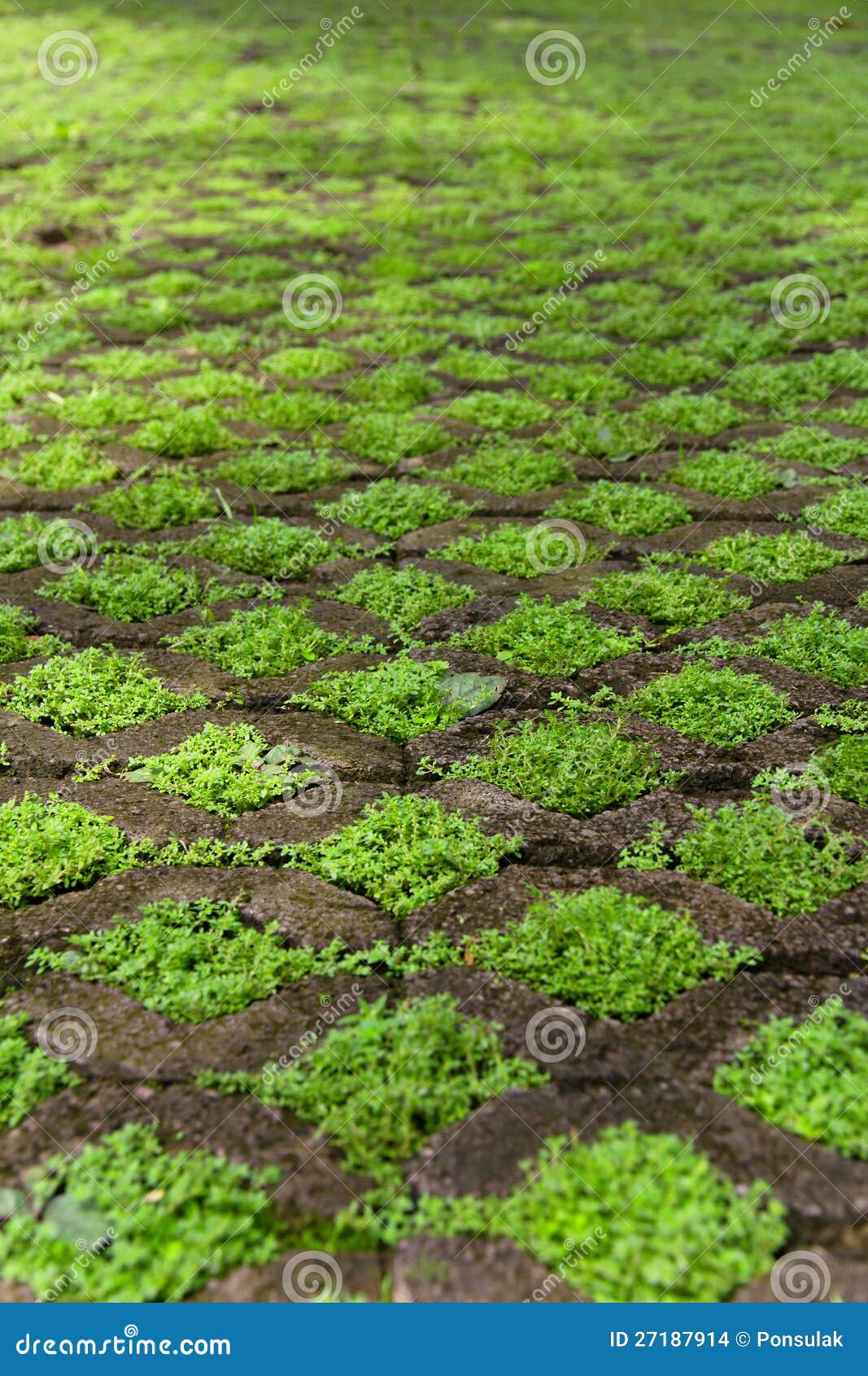 Grass floor block stock photo. Image of block, ornamental - 27187914