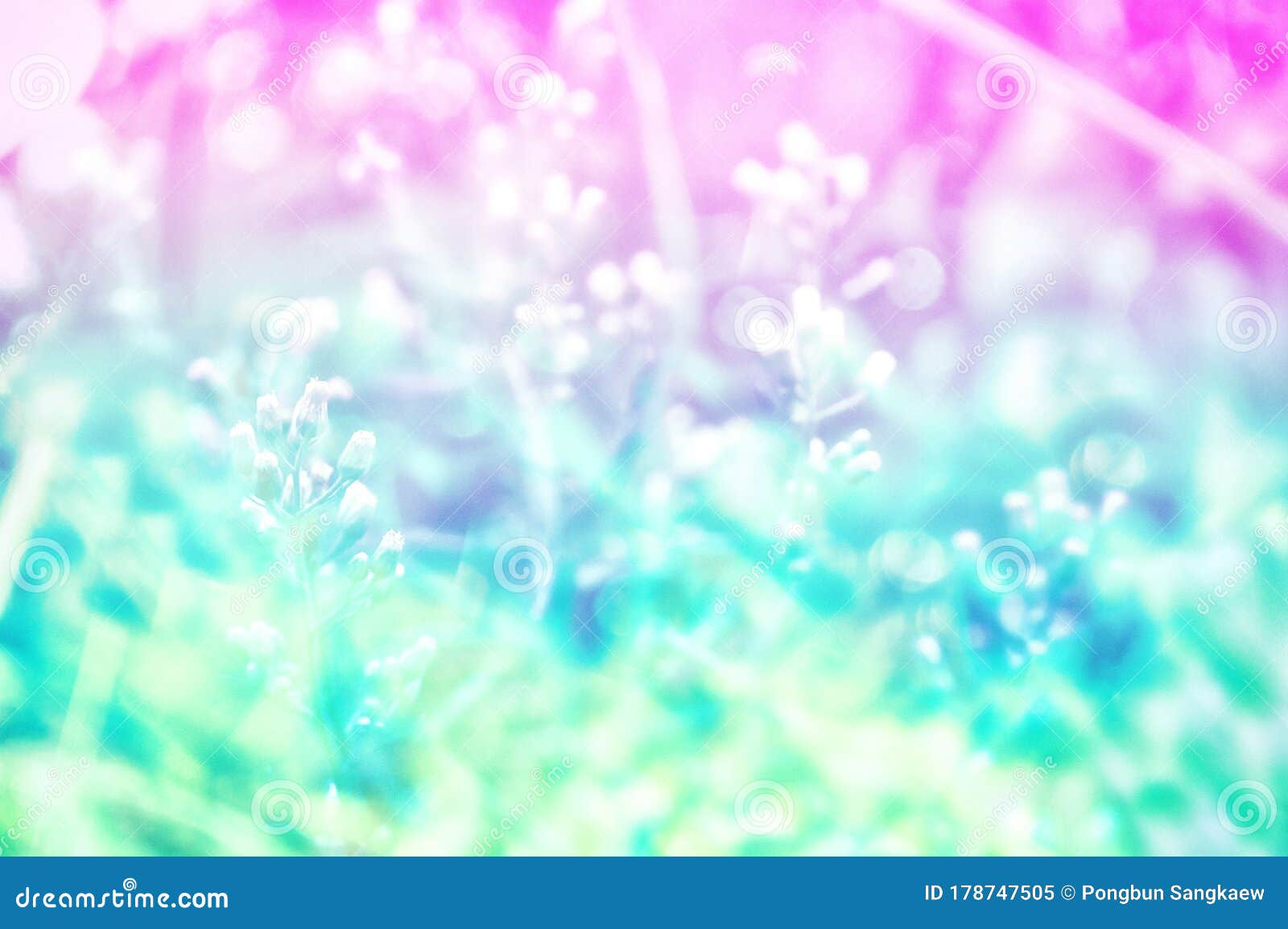 Grass Flower Soft Focus Spring Nature Background with Blue and Violet ...