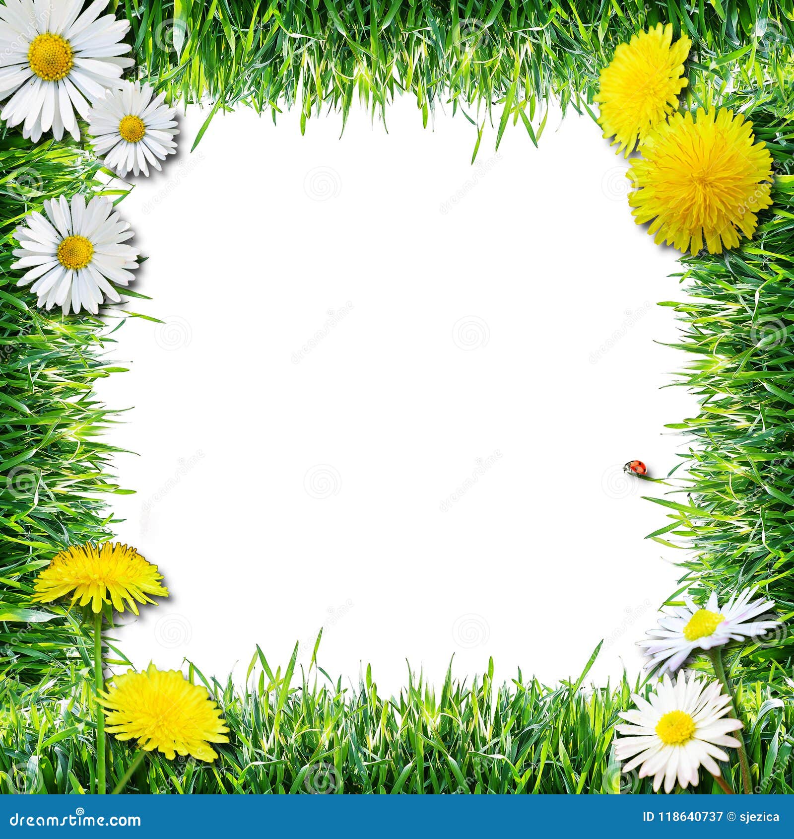 791 Spring Flowers Frame Transparent Background Stock Photos - Free ...