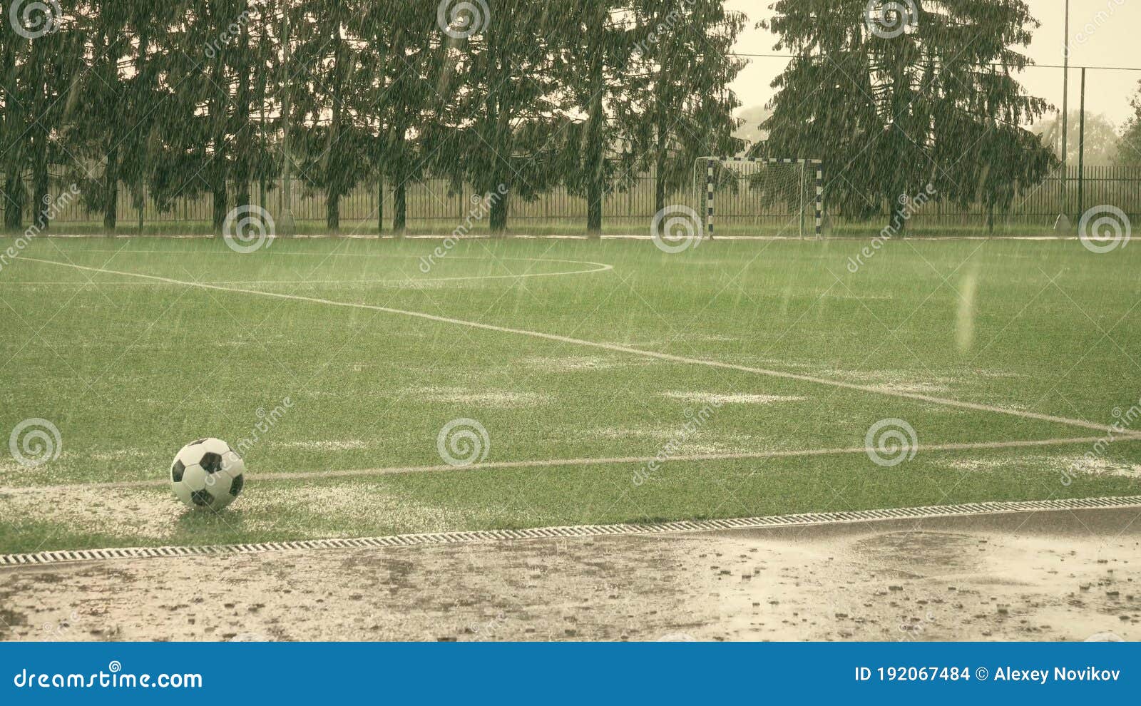 Artificial Grass Football Field. Stopped Match in Heavy Rain Stock ...