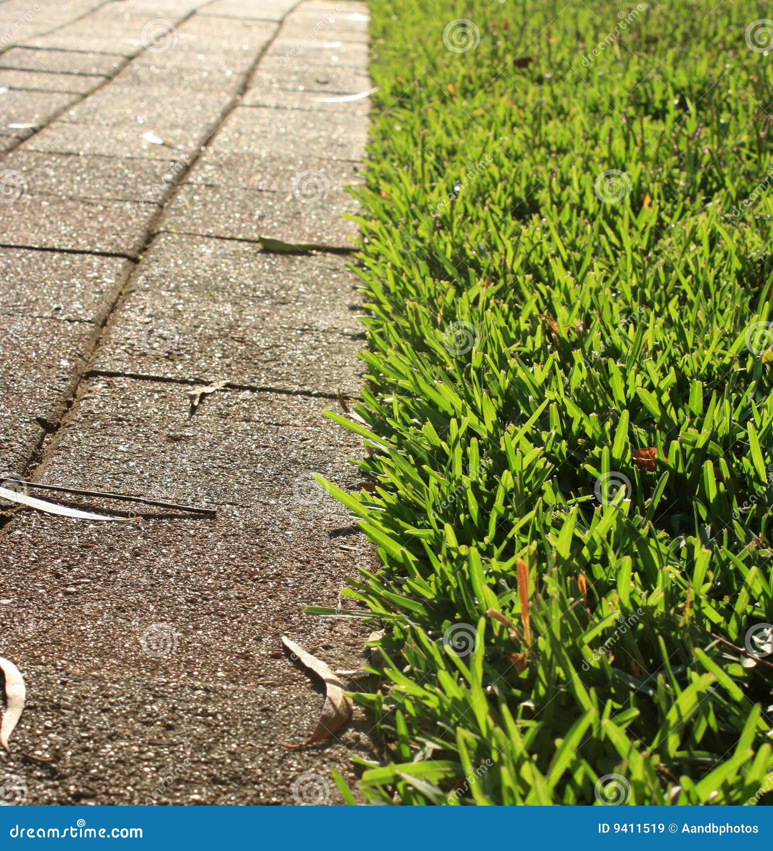 Grass and footpath stock image. Image of green, walkway - 9411519