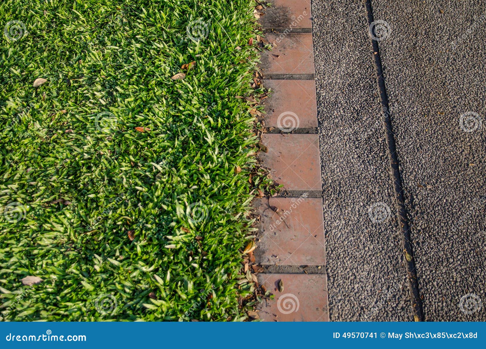 Grass and Footpath, Topview Stock Image - Image of green, footpath ...
