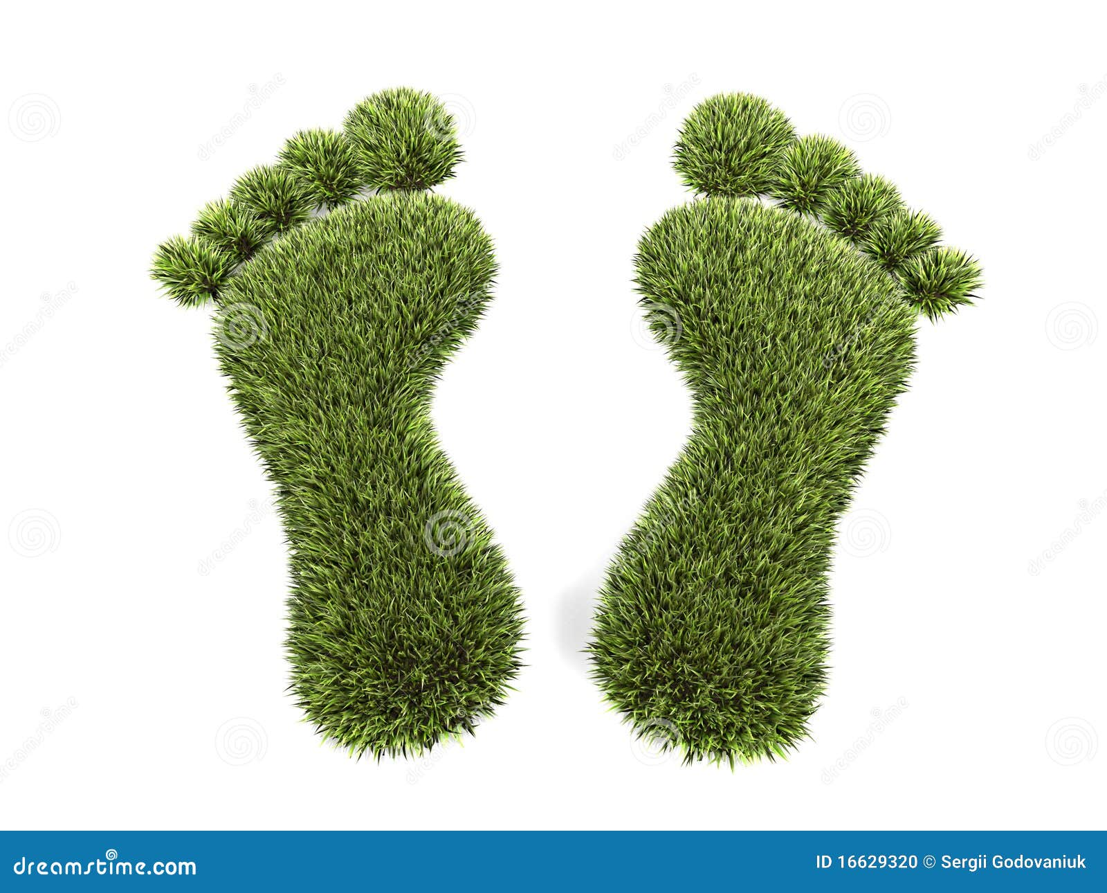 Grass footprint stock illustration. Illustration of conservation - 16629320