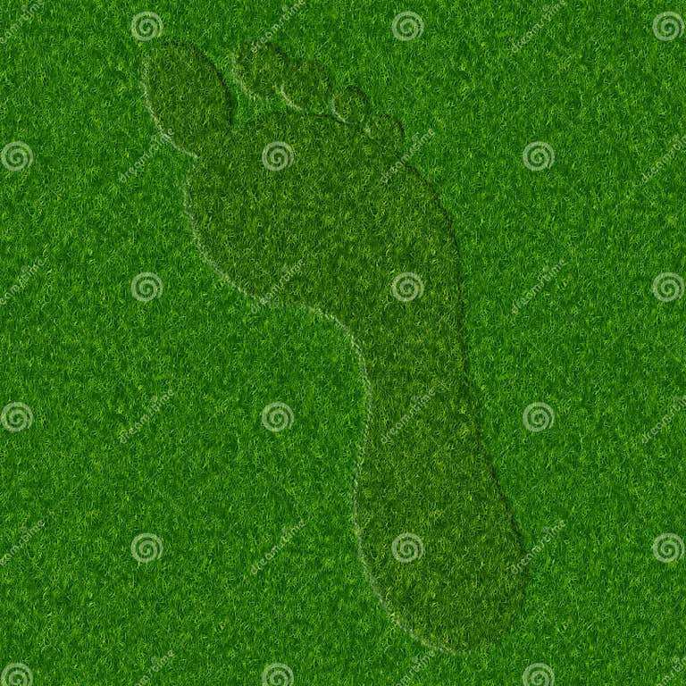 Grass Footprint stock illustration. Illustration of ecological - 19930043